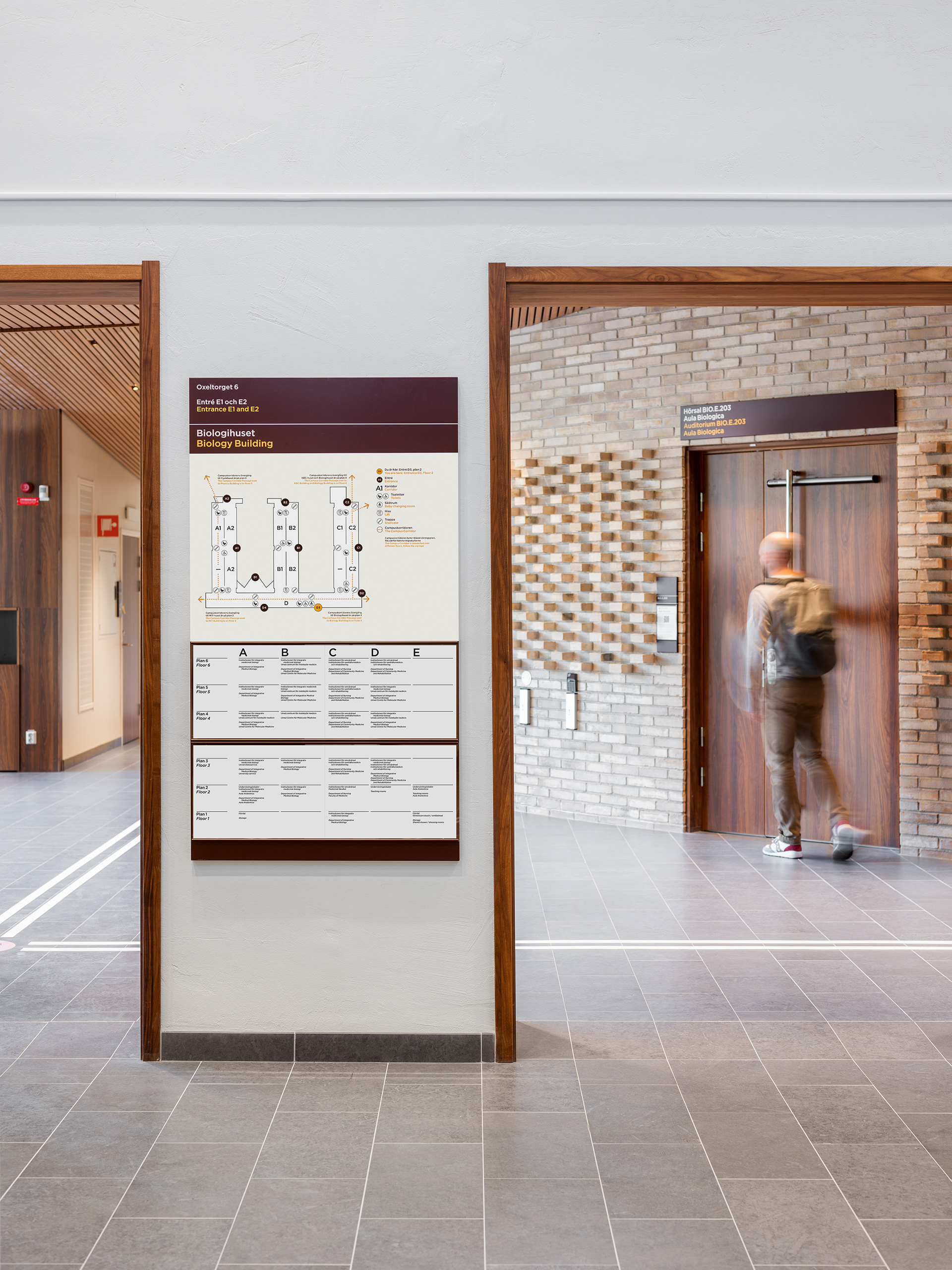 AFRY ARK STUDIO PORTFOLIO - UMU SKYLTPROGRAM