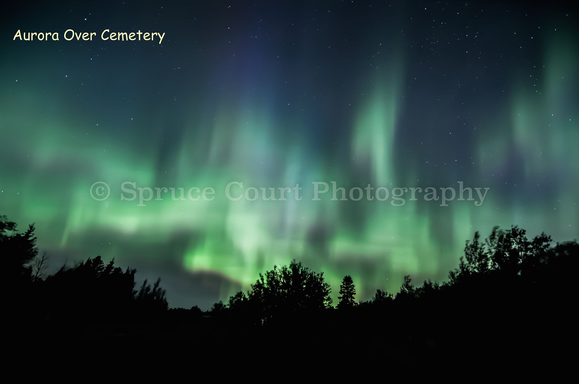 Spruce Court Photography - The Aurora Borealis and Night Sky