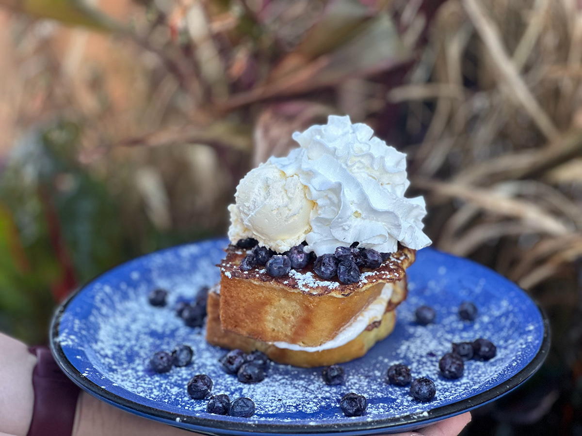 The Airfield Cafe - Specials