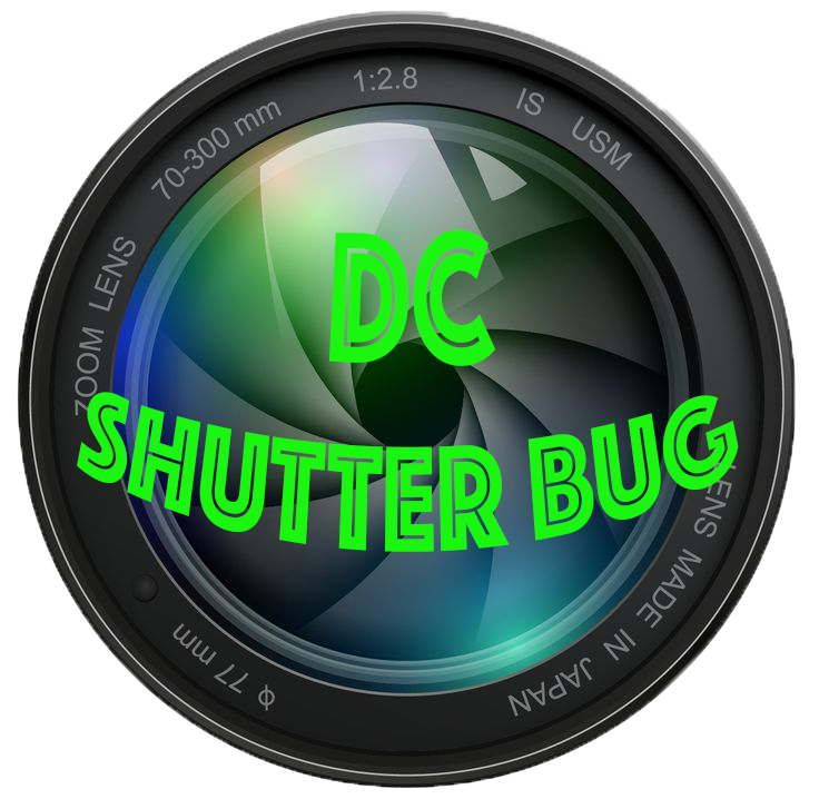 DC Shutterbug - Vancouver Island Landscapes