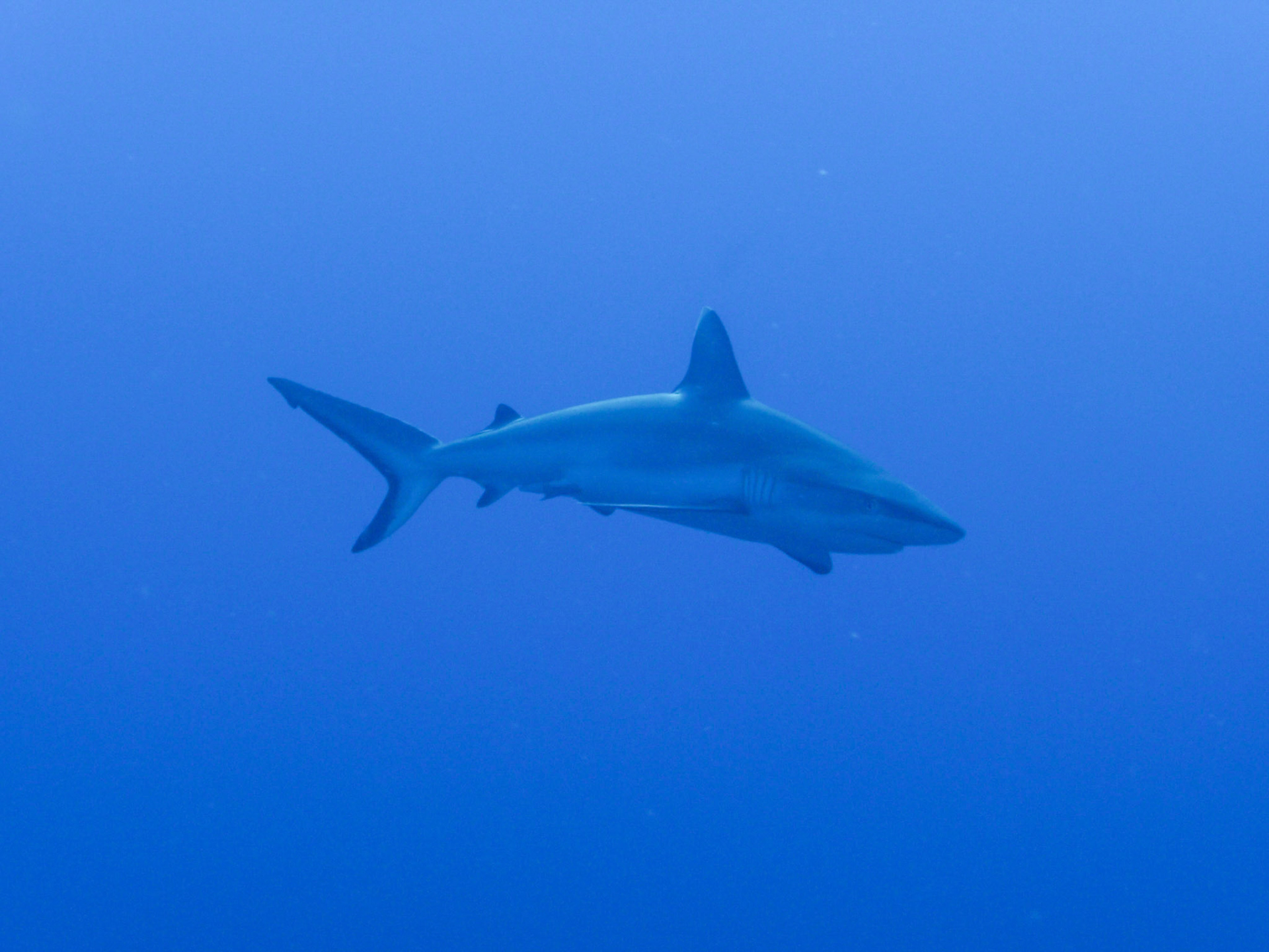 Alexander Schlögl - Malediven 2023