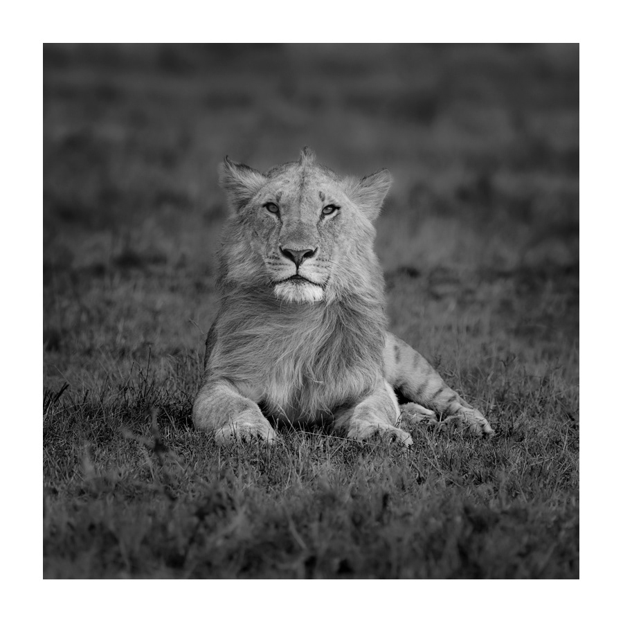 Ian Tully Photography - Mara Portraits