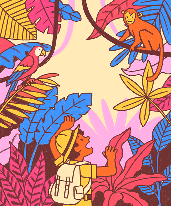 Jess Jenkins - Freelance Illustrator in Limoges, France