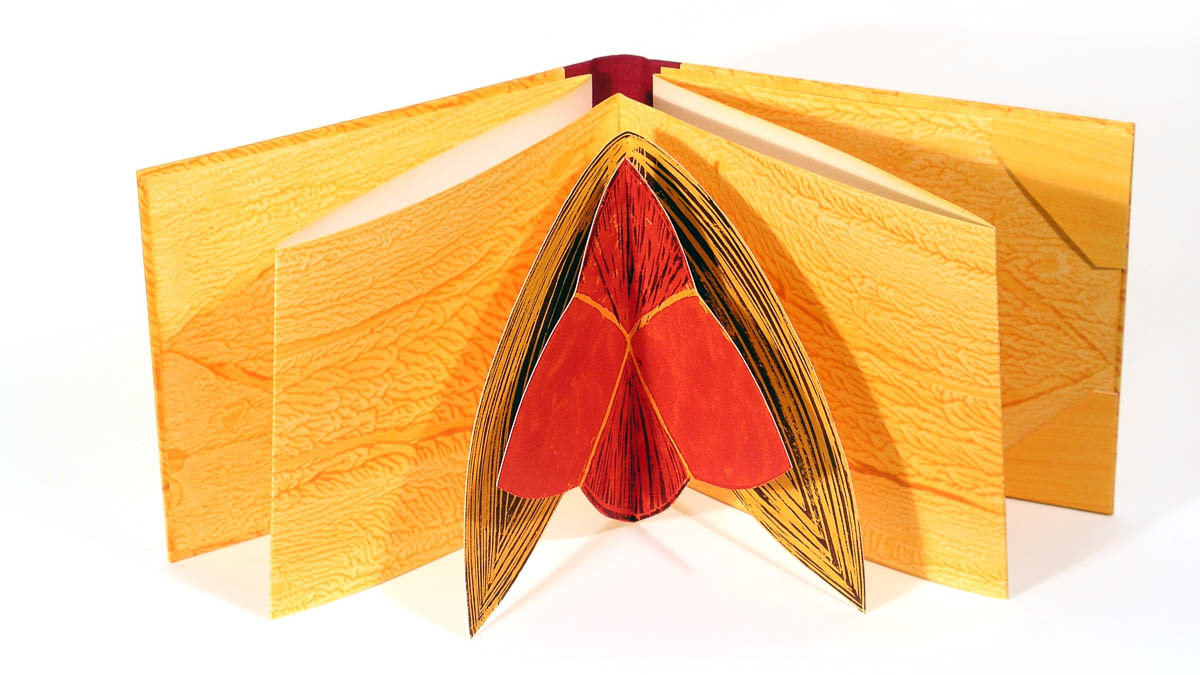 Alice Austin Artist - Coffee