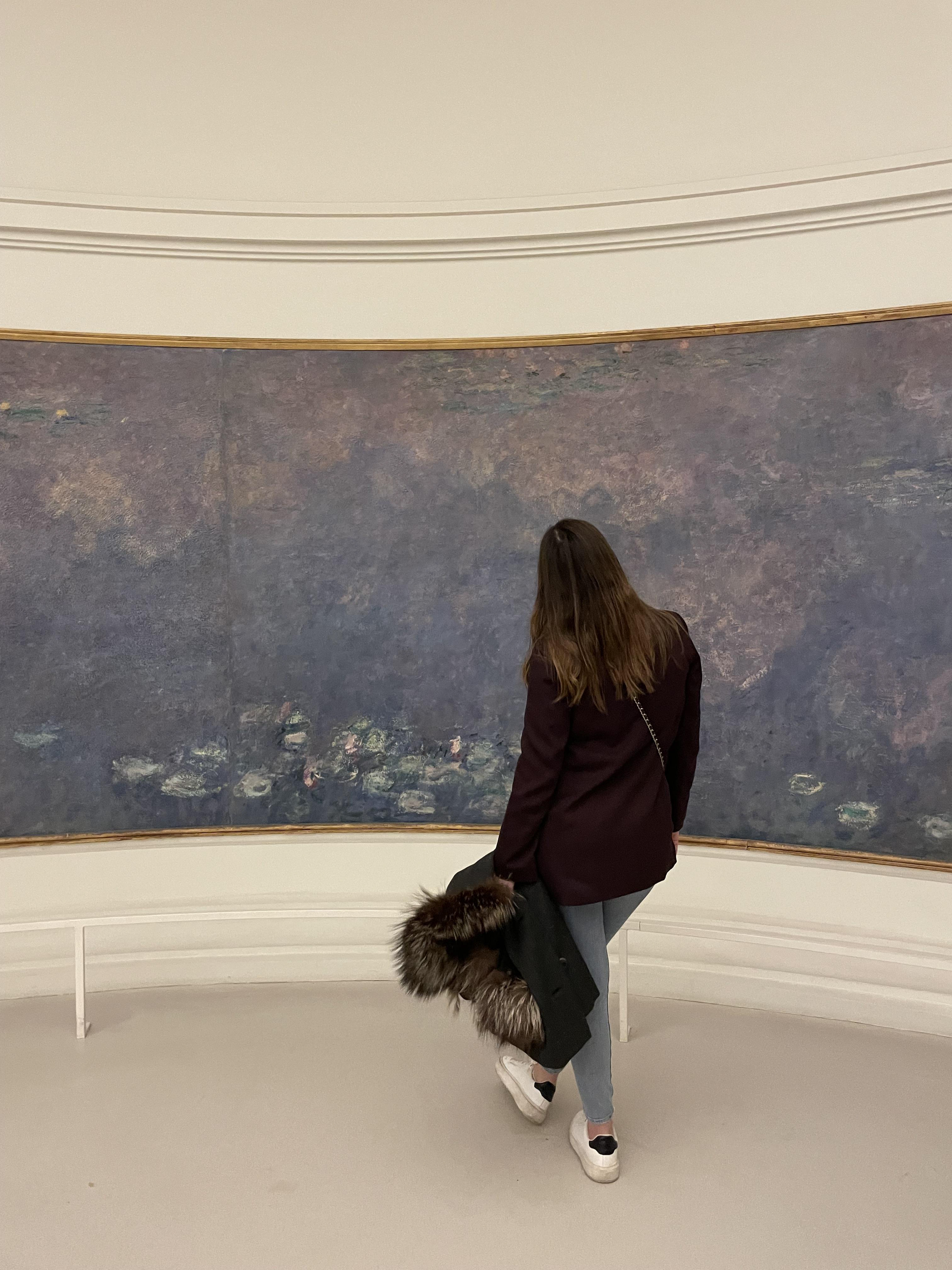MAKE IT VISUAL - MONET WATER LILIES ROOMS