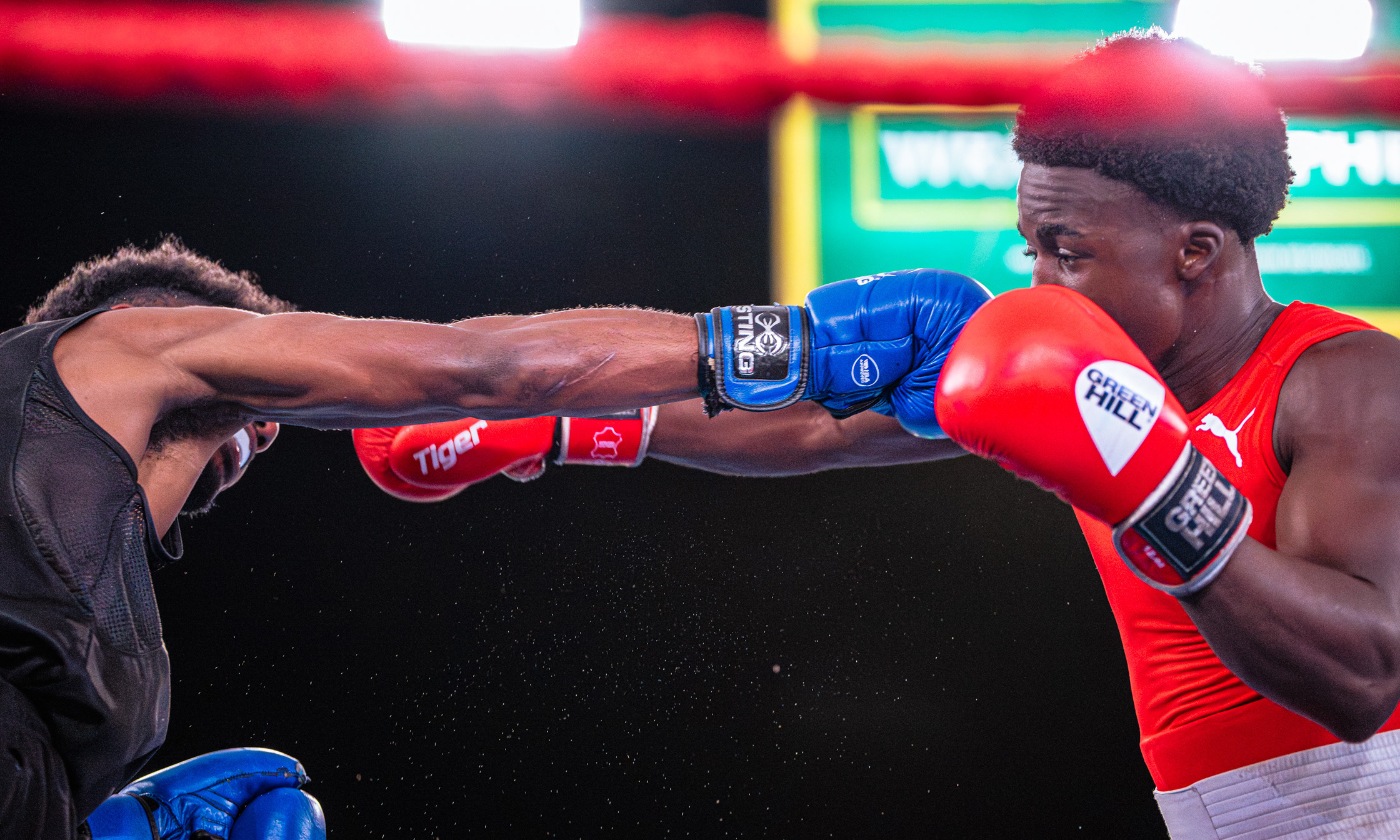 Rushandidan Photography - Wray and Nephew Fight Nights 2025 December 13