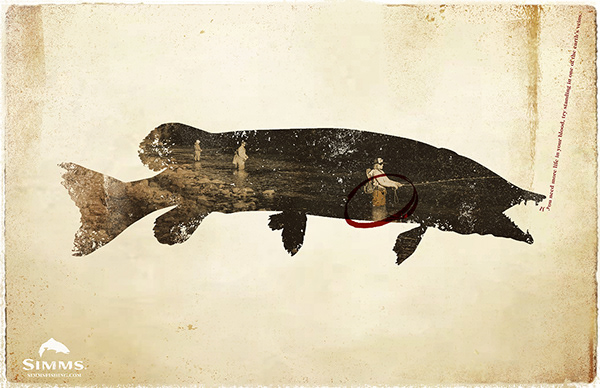 COLIN CORCORAN - Print