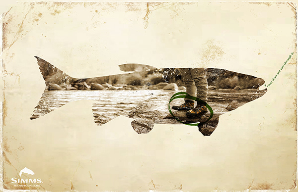 COLIN CORCORAN - Print