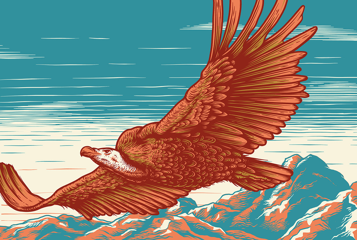 Tobias Hall - Illustrations