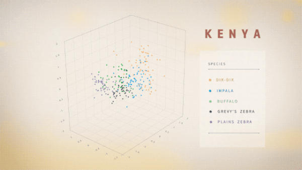 Black Math - Data Visualization