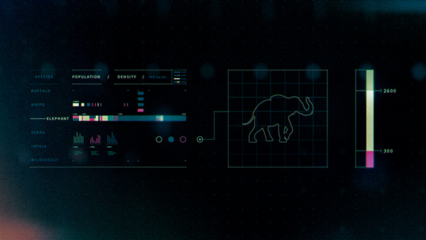 Black Math - Data Visualization