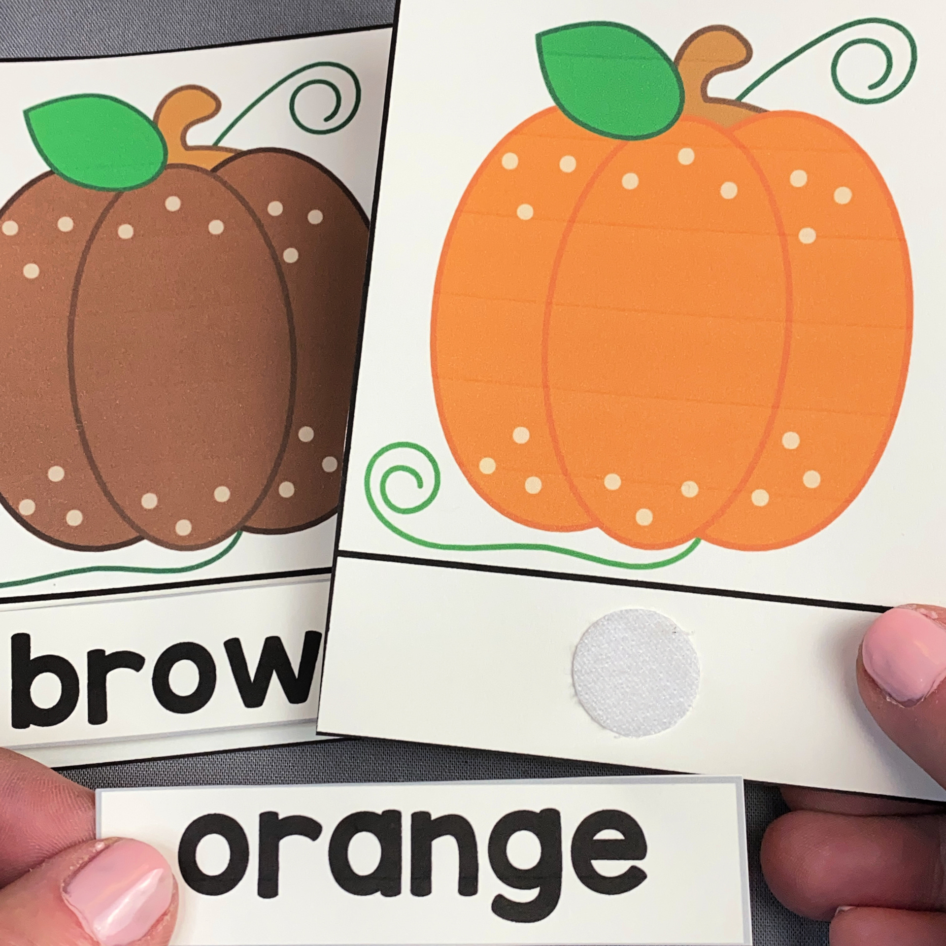 Membership Portfolio