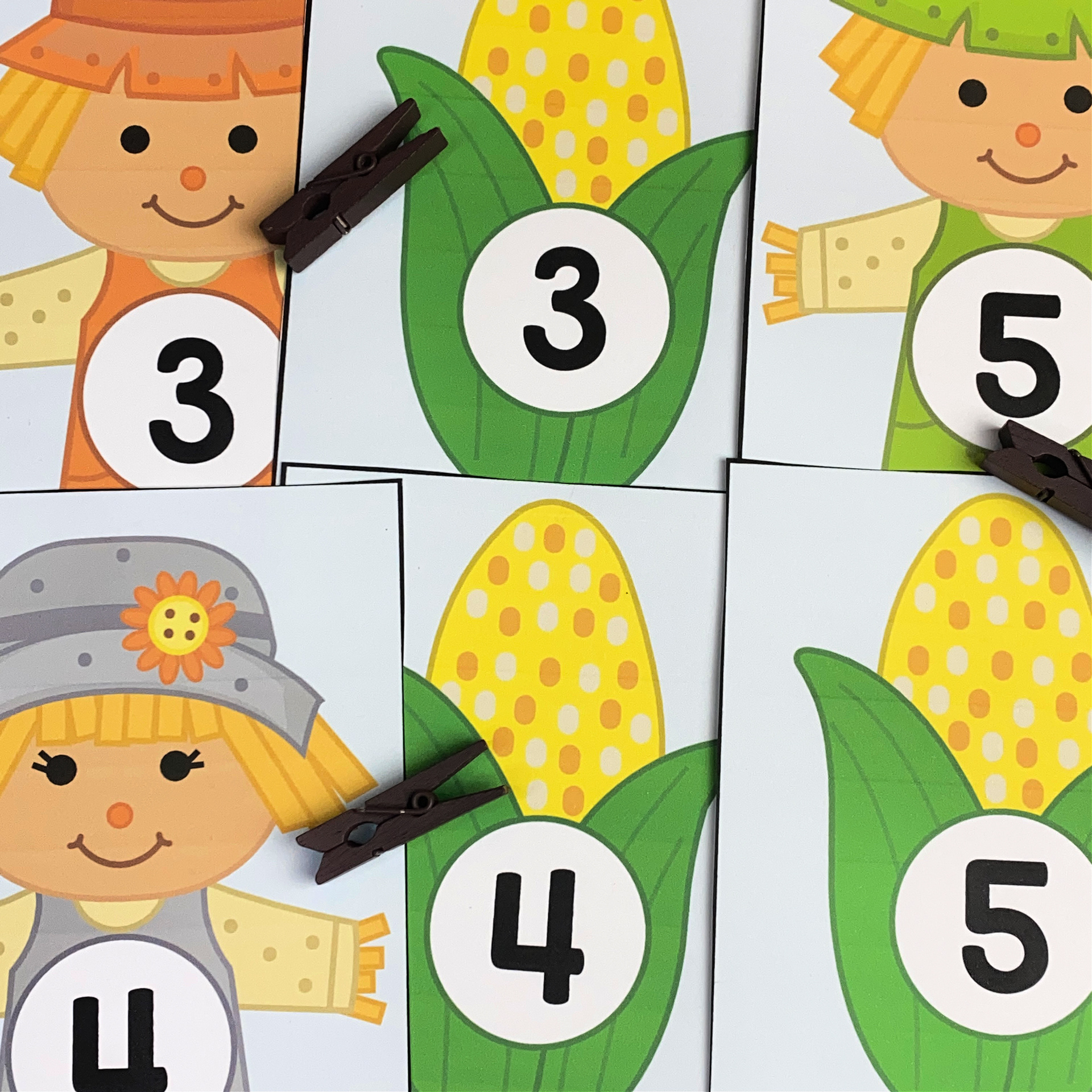 Membership Portfolio