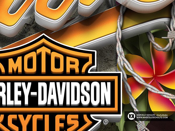 Marcelo Schultz - Harley-Davidson Designs