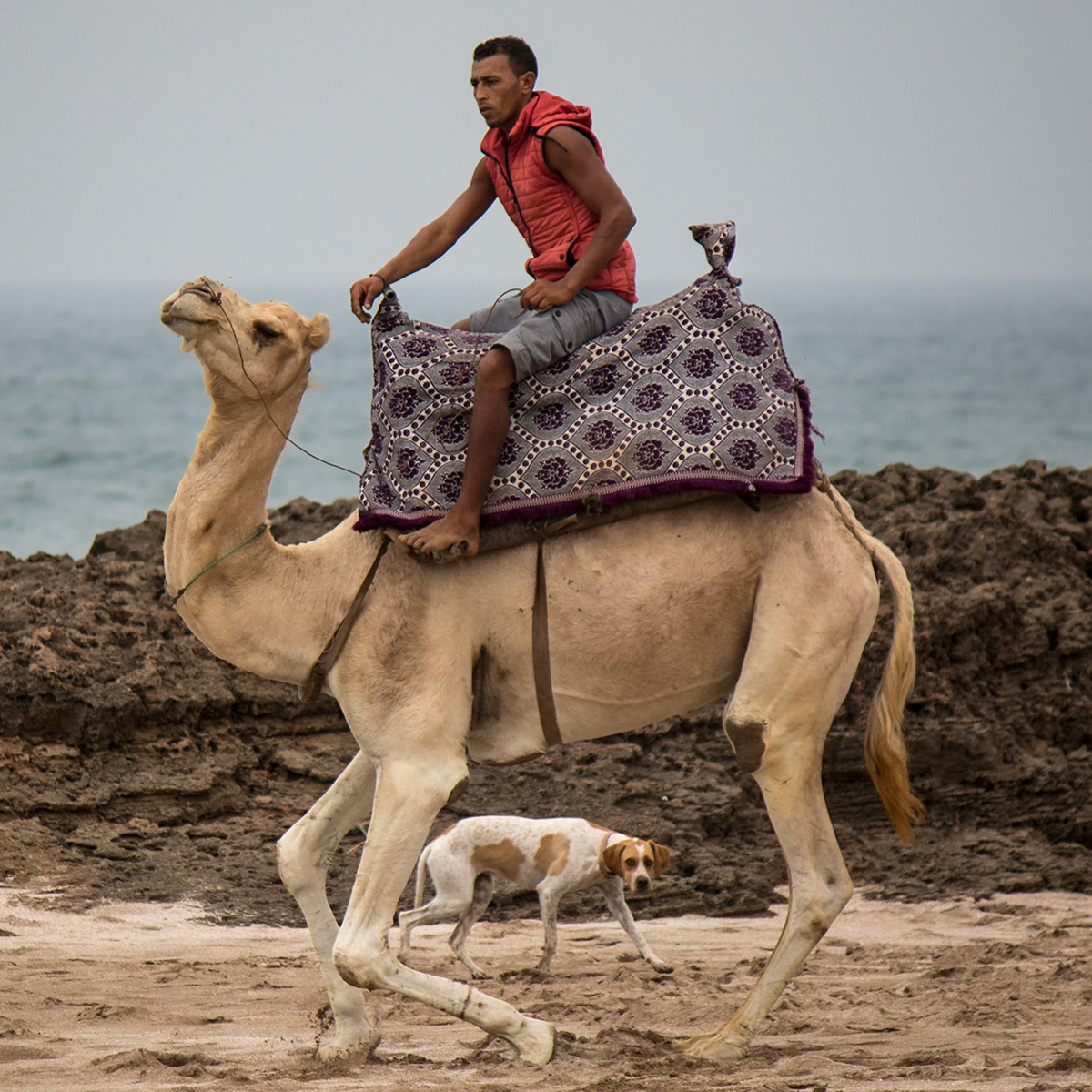 dothopper photography - Paris and Morocco (Summer 2016)