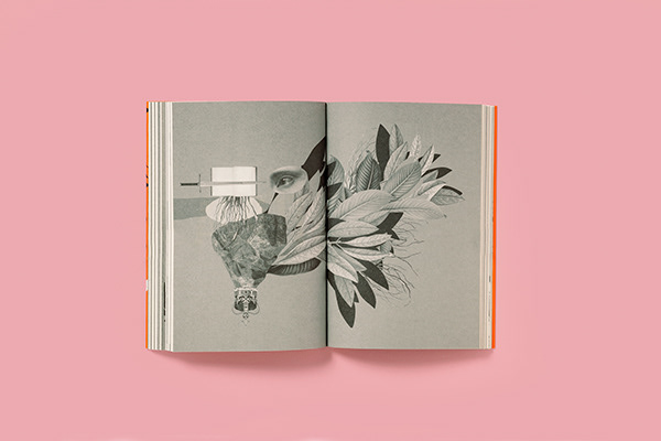 Anderson Junqueira Studio - Shakesperianas