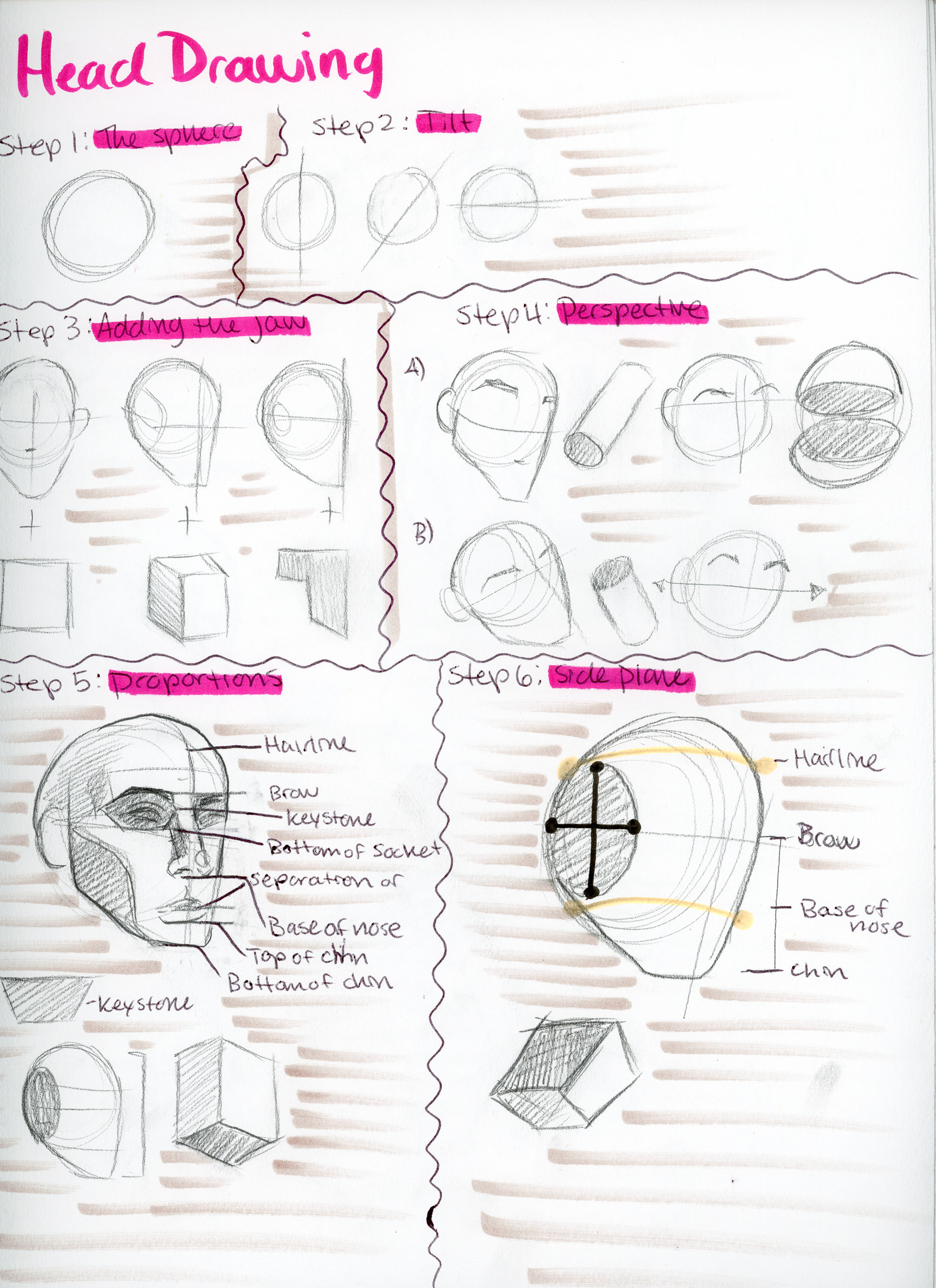 Delaney MeSun Shin - Anatomy Drawings Spring