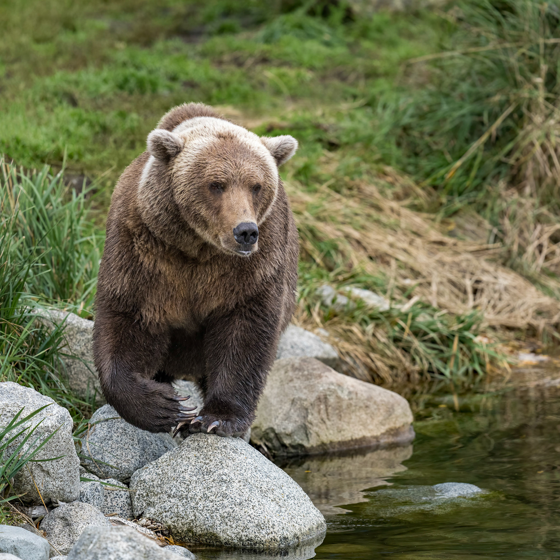 Ed Dailey - 2022 Alaska