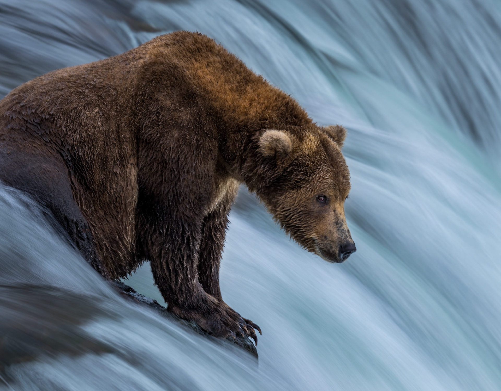 Ed Dailey - 2022 Alaska