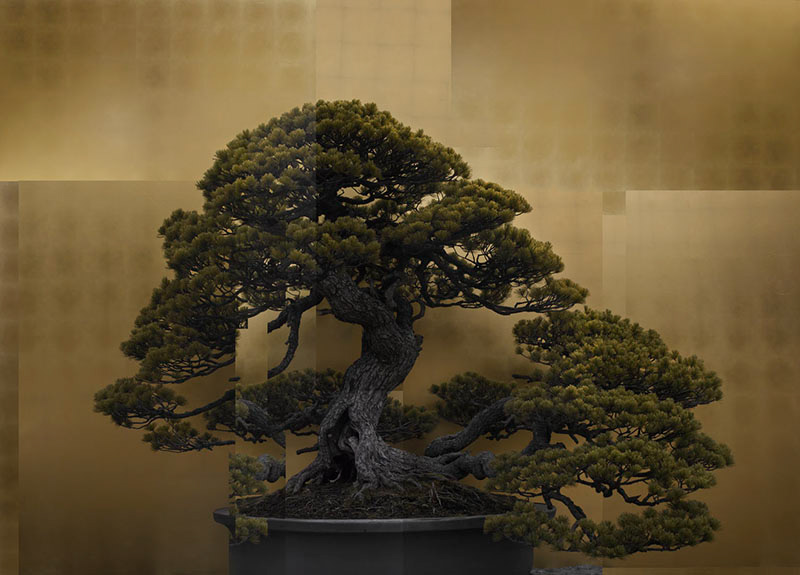 良 大和田 - FORM