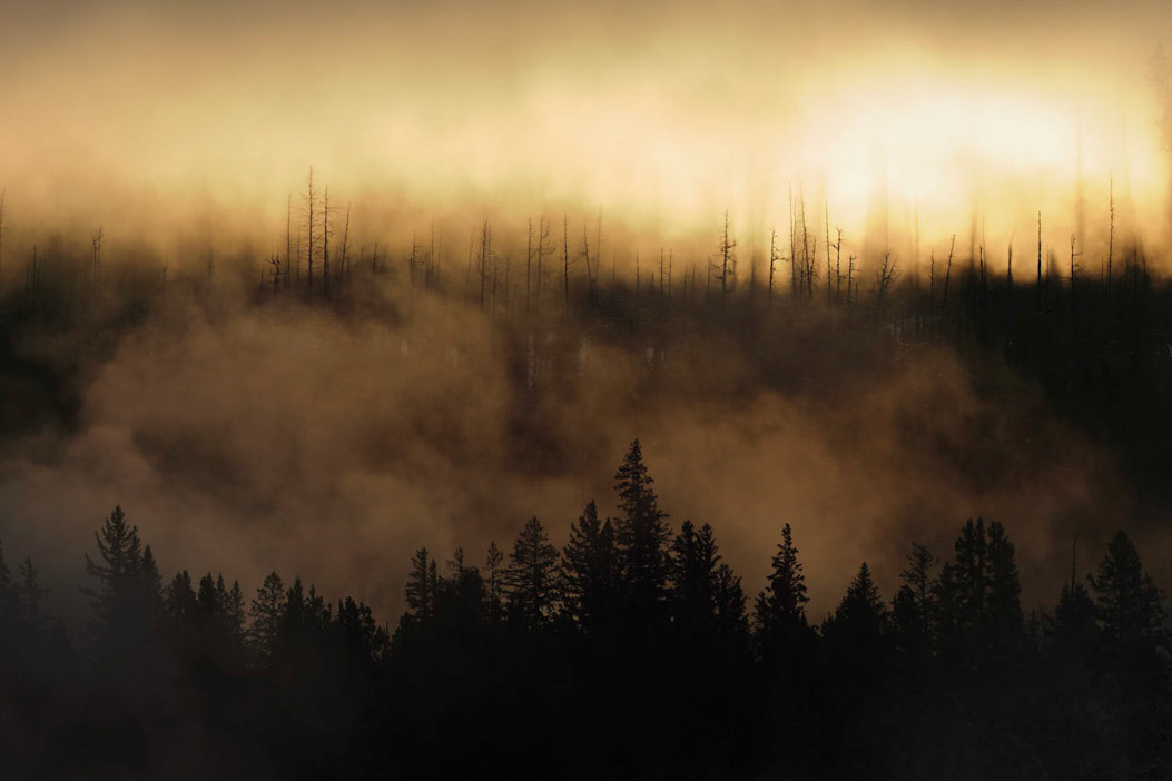 Natuurfotografie Fred van Wijk - Winter op 68º Noorderbreedte