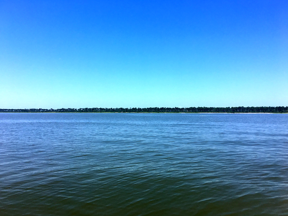 Coastal Wanderer - The Pirate Jean Lafitte