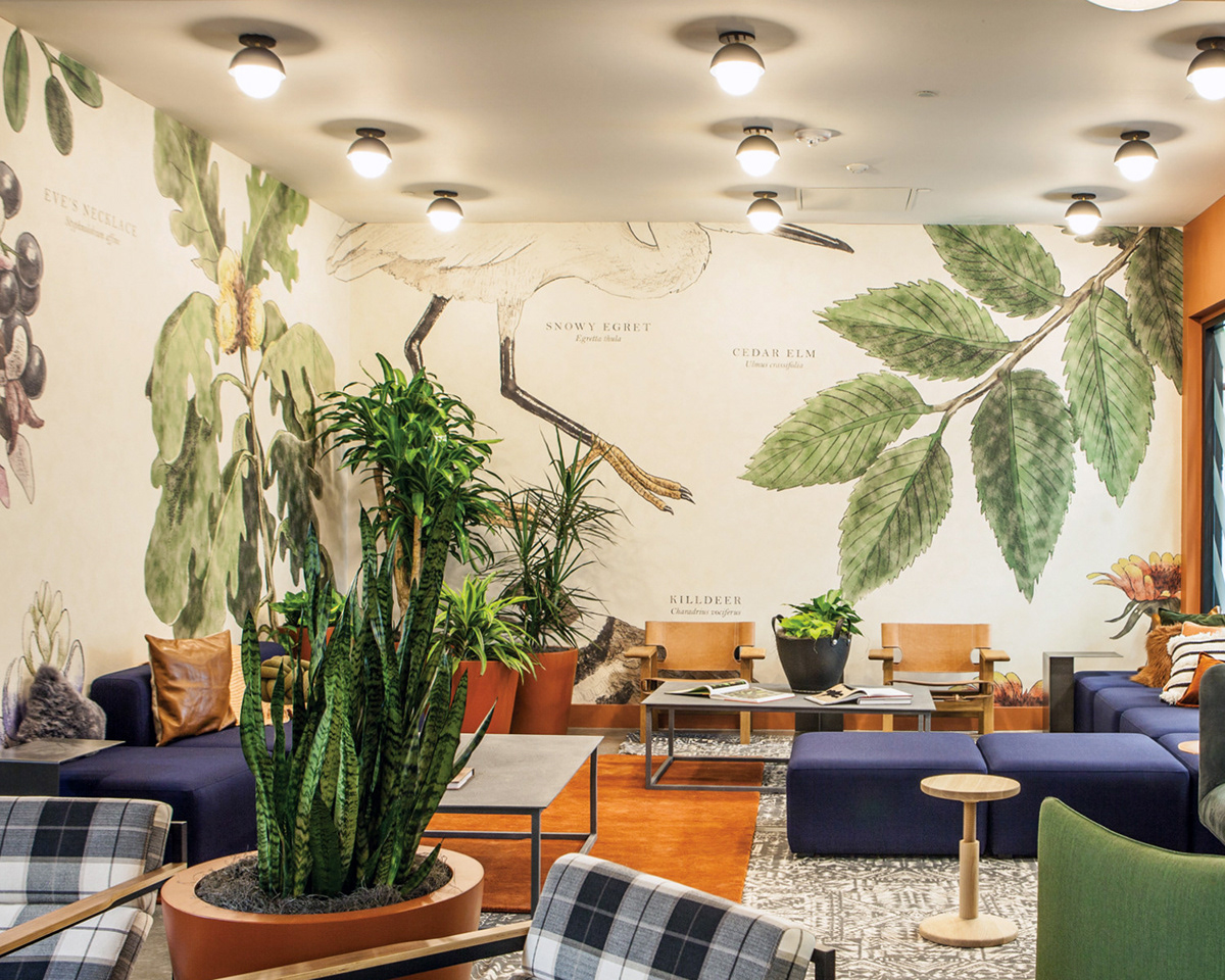 Paulina Ho - WeWork Murals & Installations