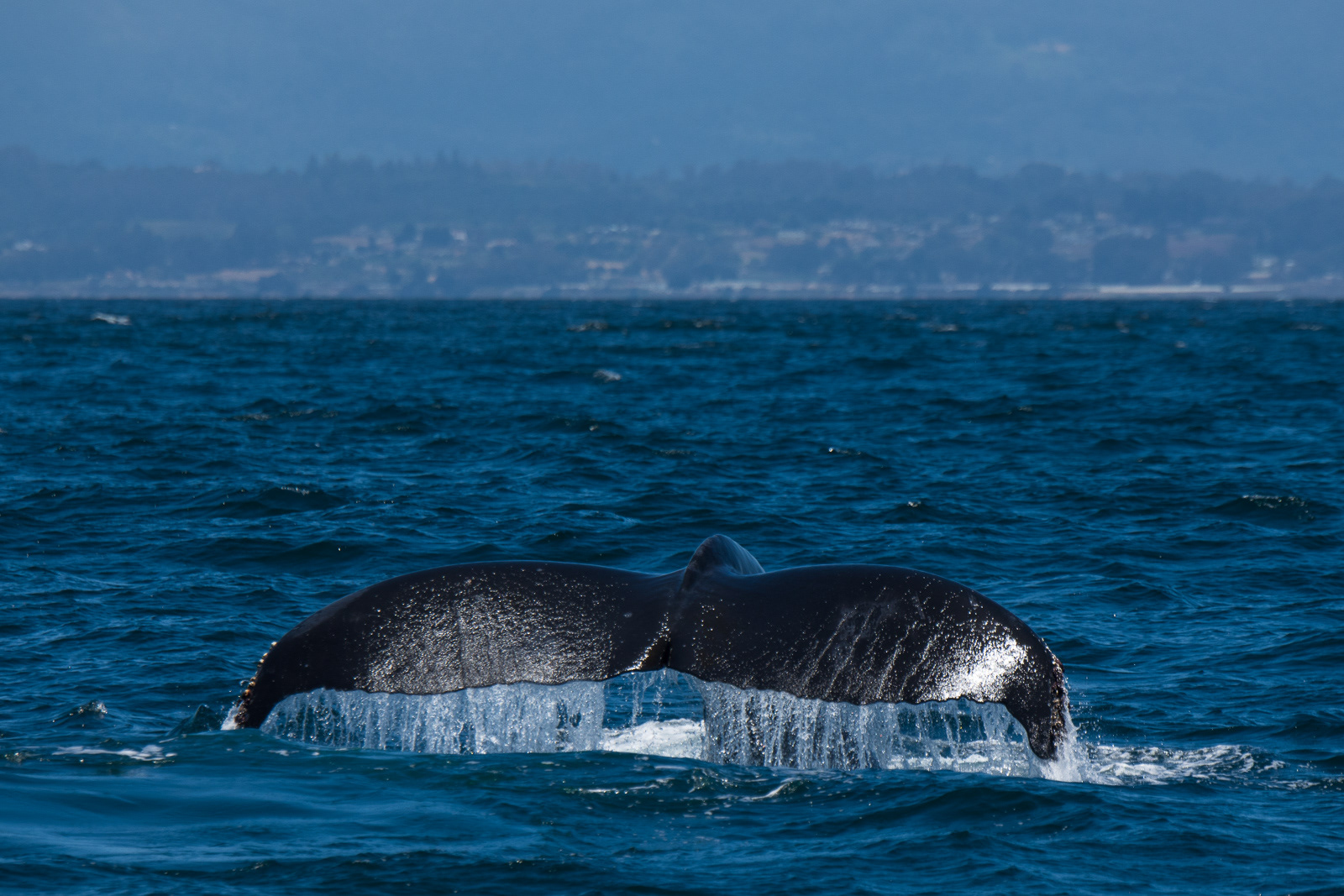 James Beissel Photography