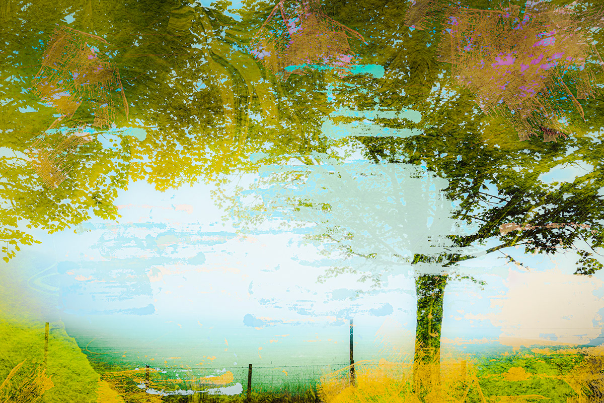 Hugh Ferguson - Arboreal Shifts