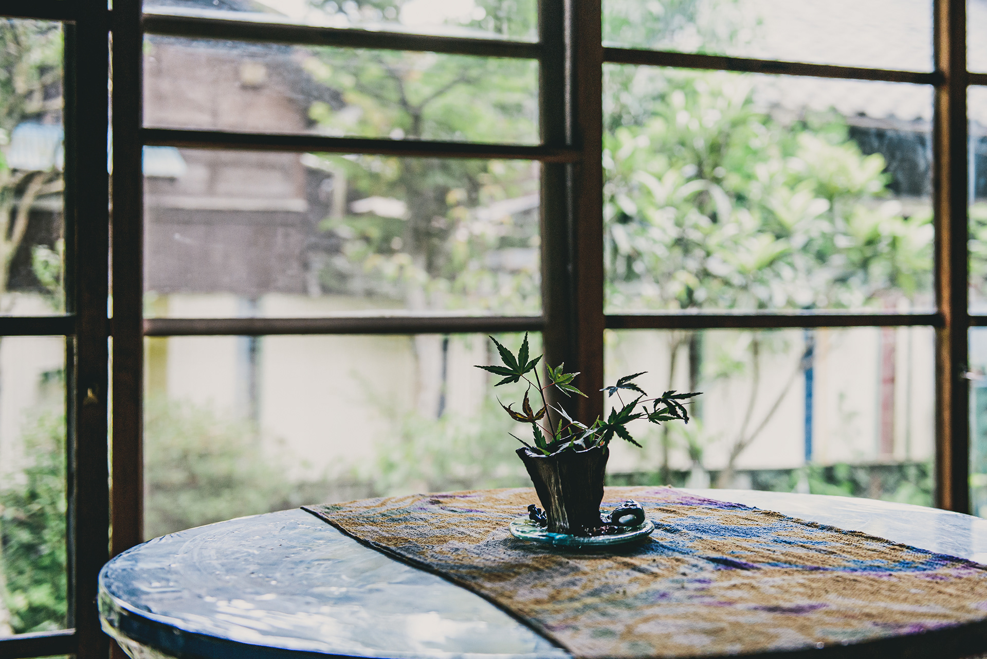 Hiroshi Inomata Photography 写真家/猪俣博史 - Blowing in the wind of Kmakura