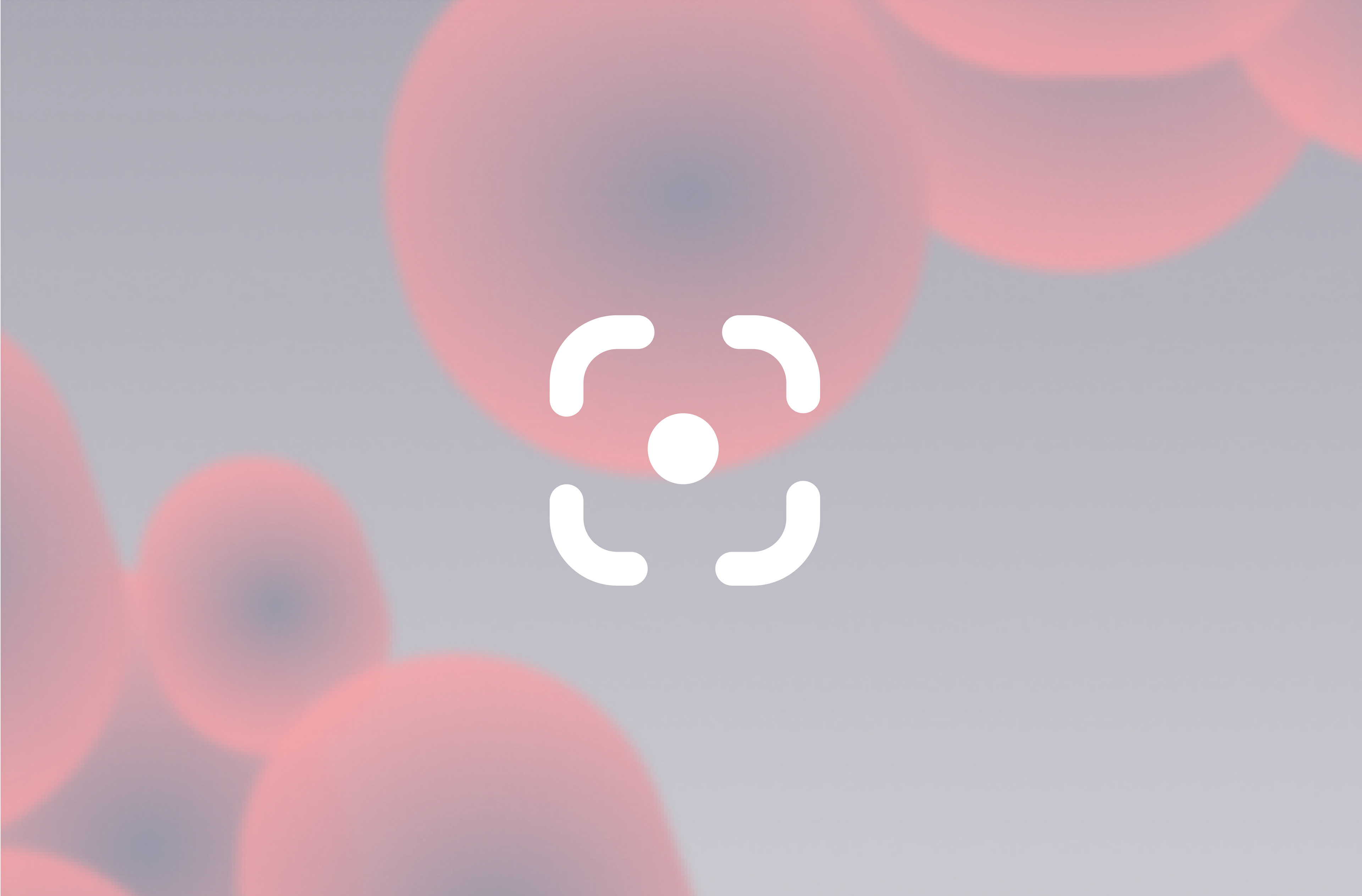 Maca Román - Focus Cloud