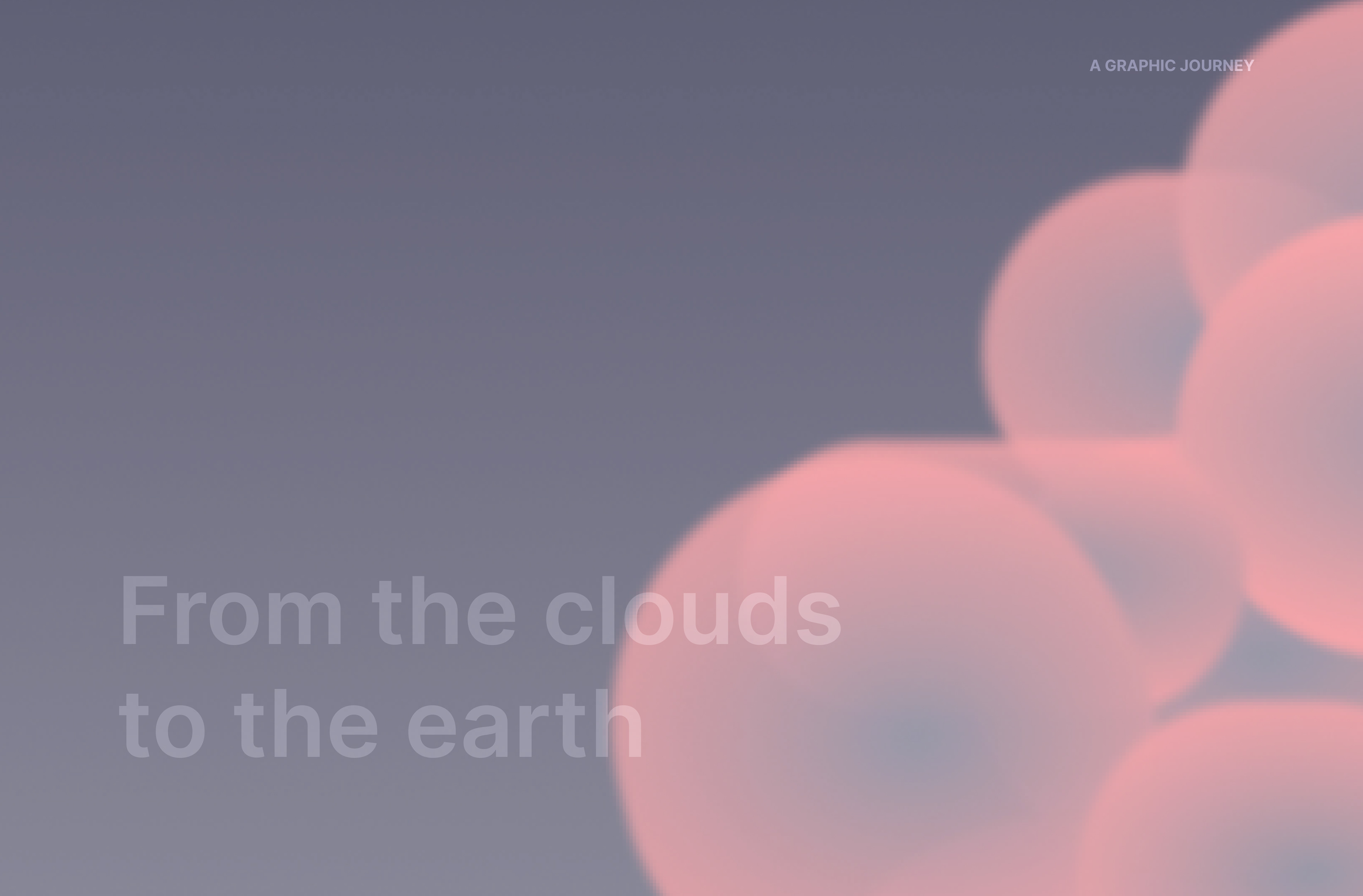 Maca Román - Focus Cloud