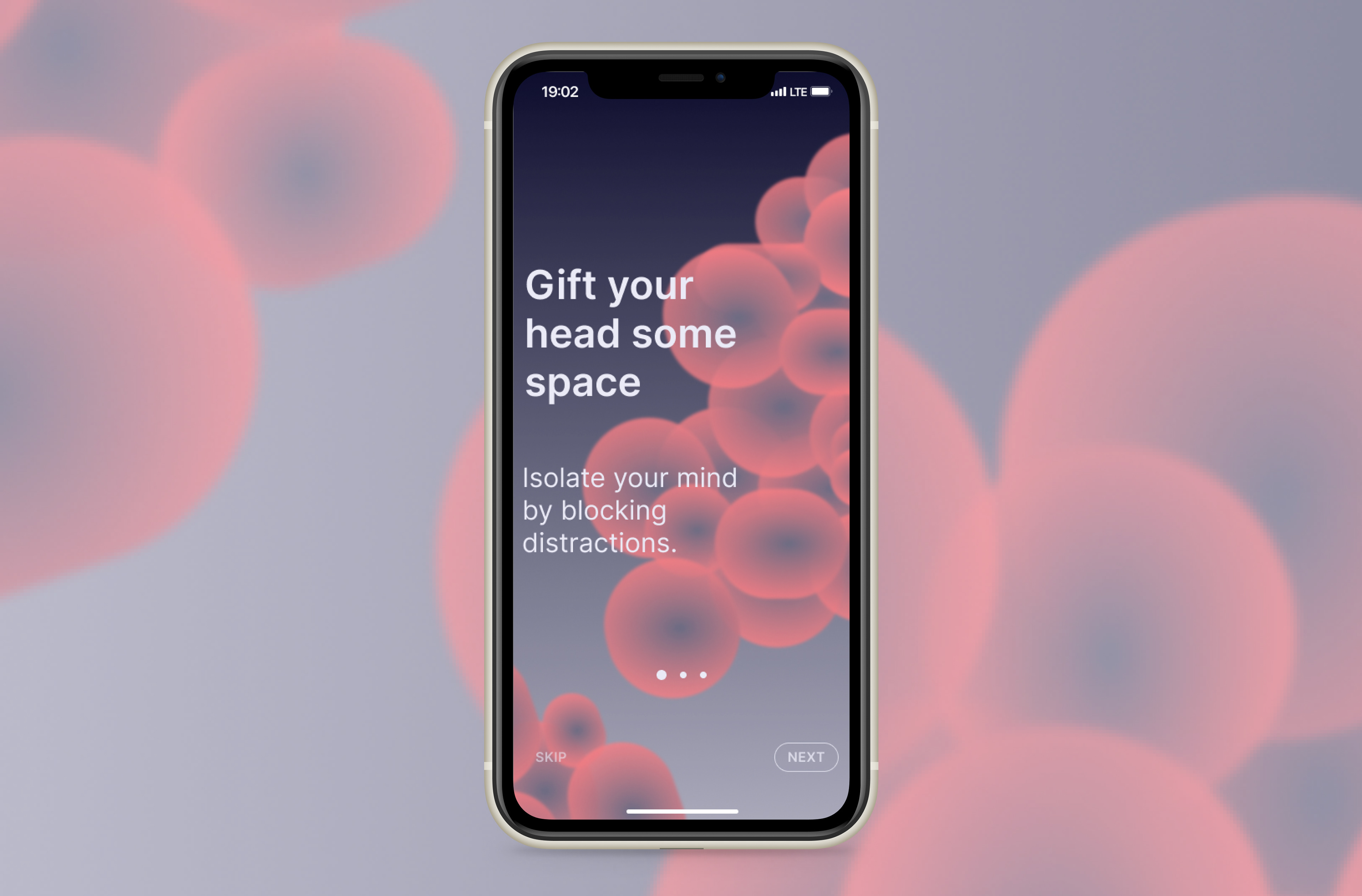 Maca Román - Focus Cloud