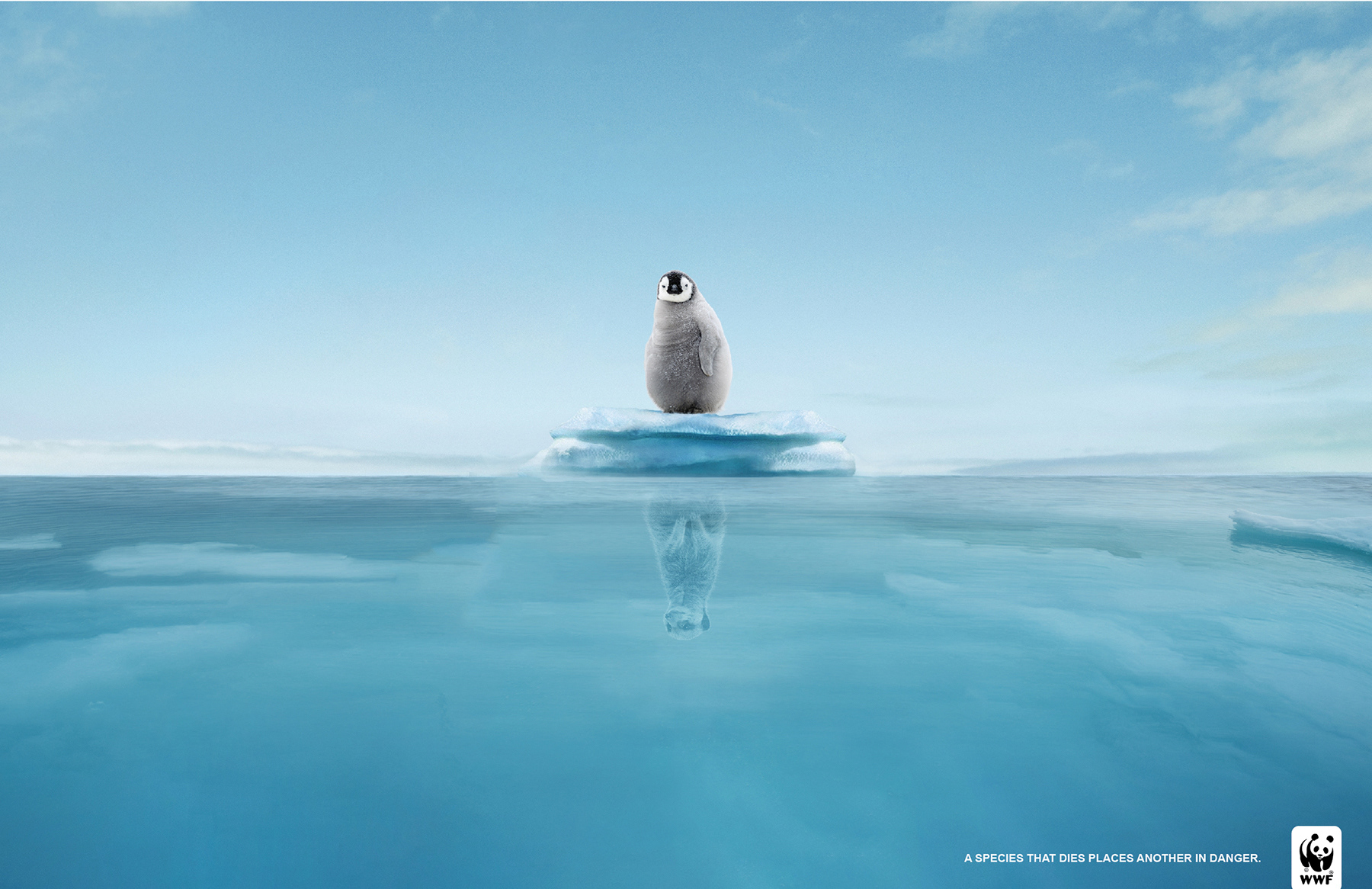 Wwf Ads Global Warming