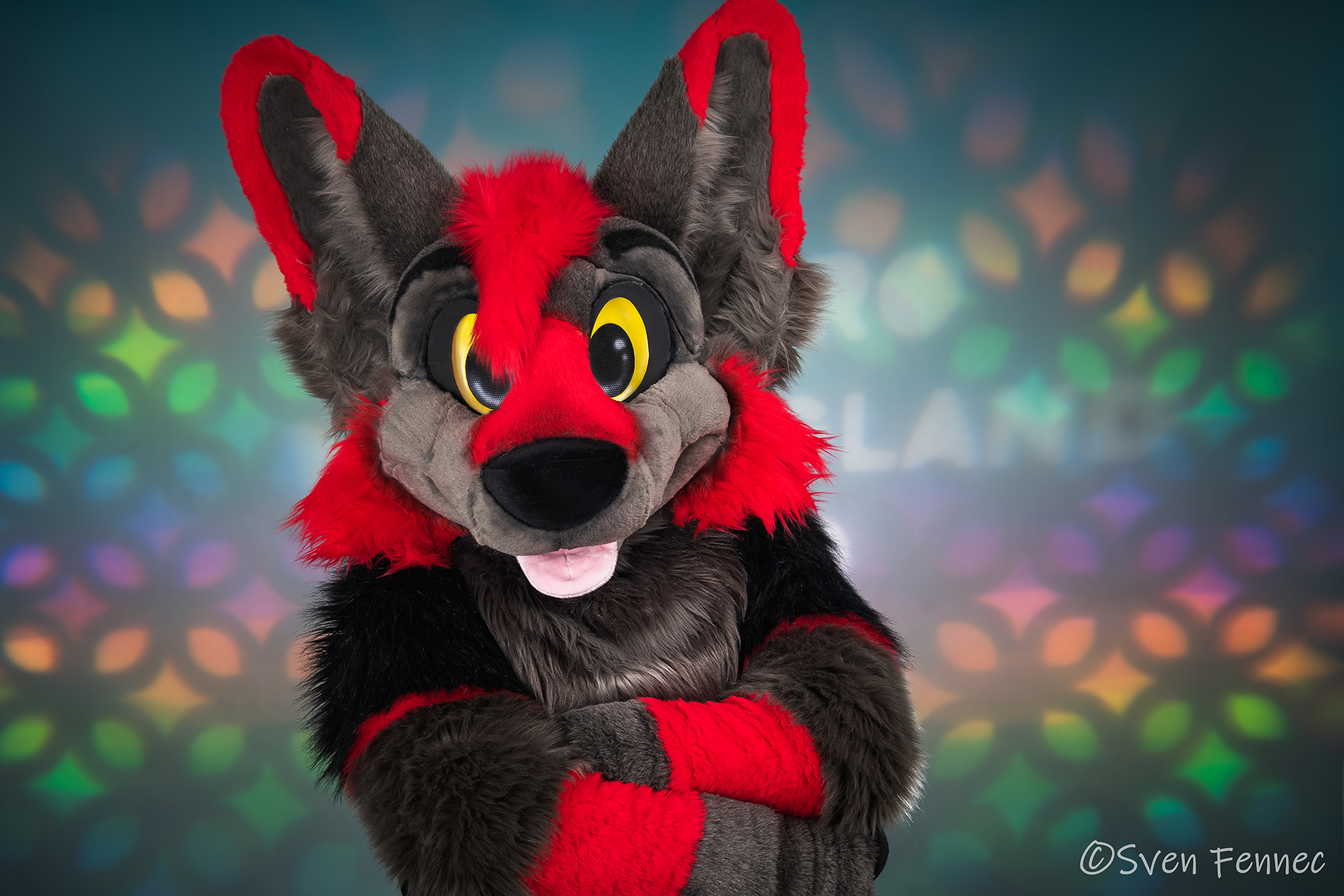 Sven Fennec Photography - 2018-2020 Studio Fursuit Portraits
