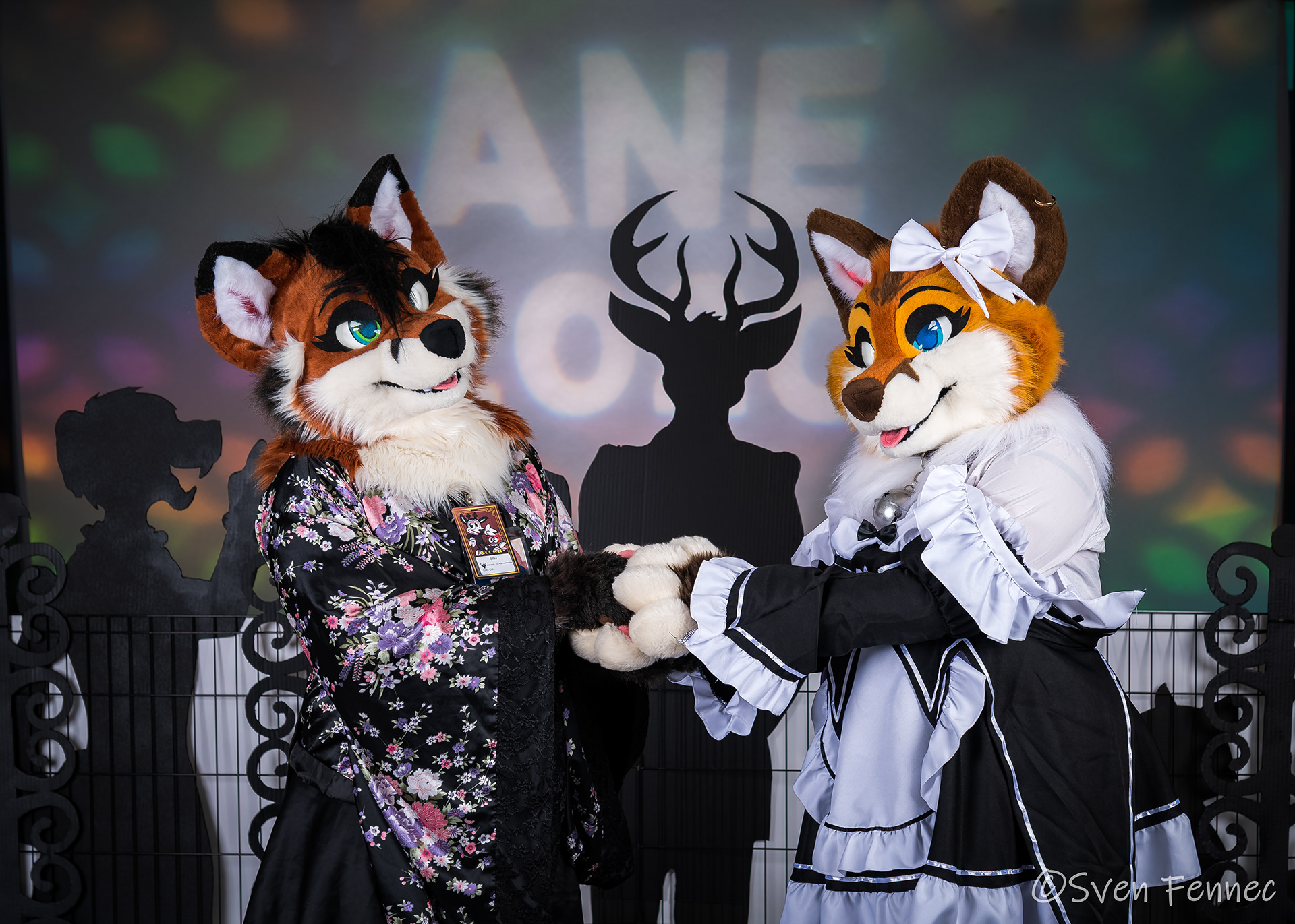 Sven Fennec Photography - 2018-2020 Studio Fursuit Portraits