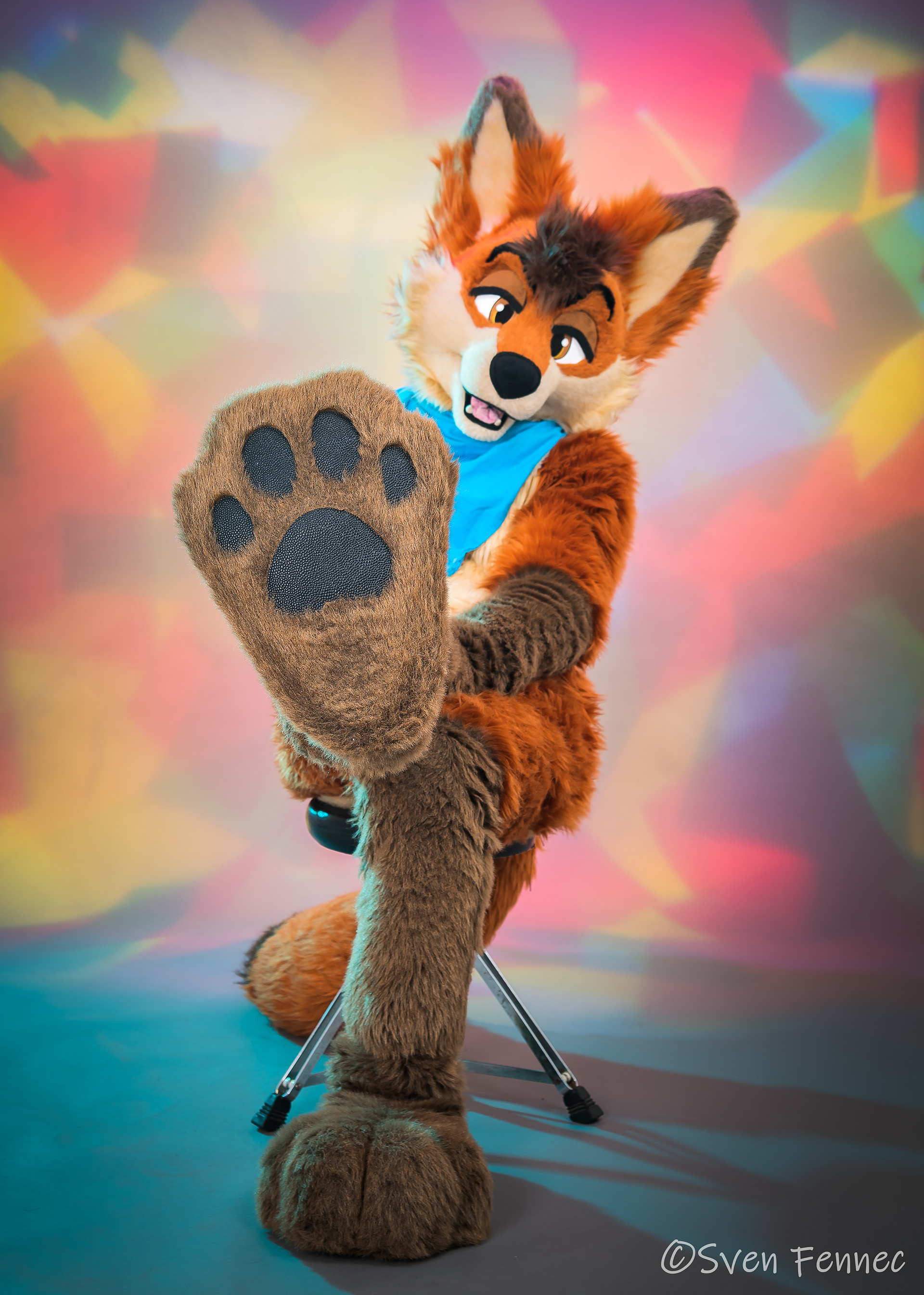 Sven Fennec Photography - 2018-2020 Studio Fursuit Portraits