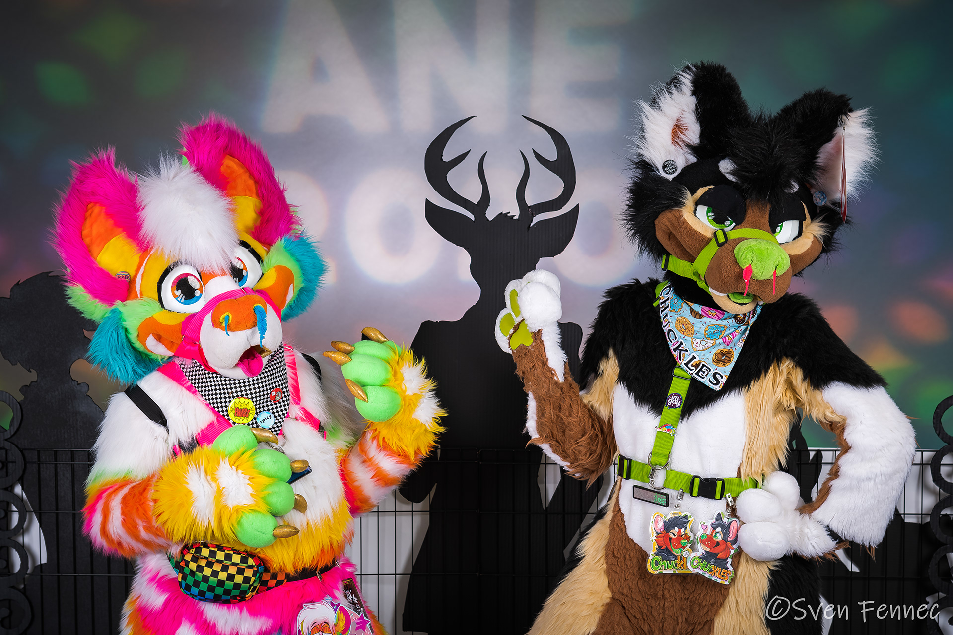 Sven Fennec Photography - 2018-2020 Studio Fursuit Portraits