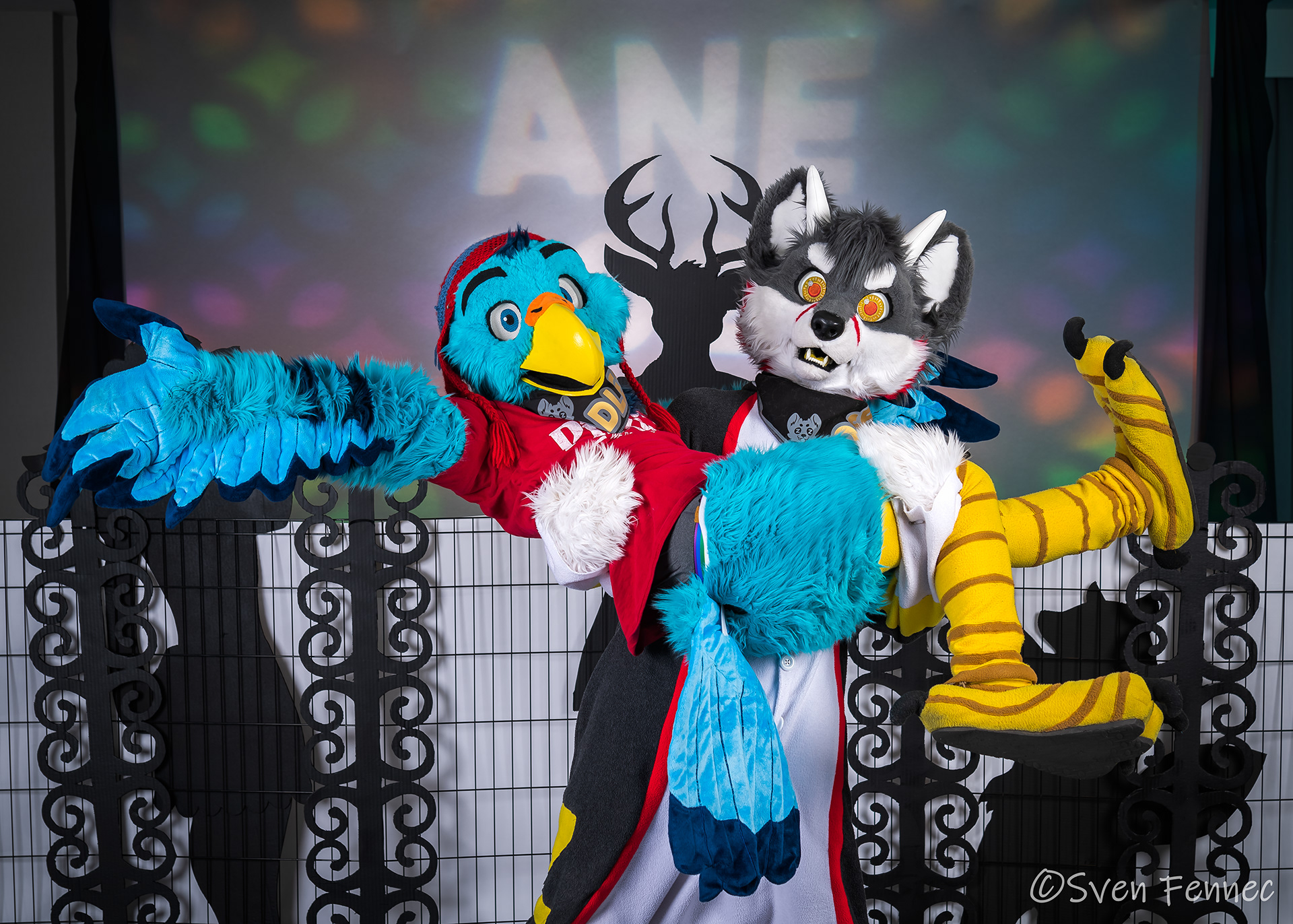 Sven Fennec Photography - 2018-2020 Studio Fursuit Portraits