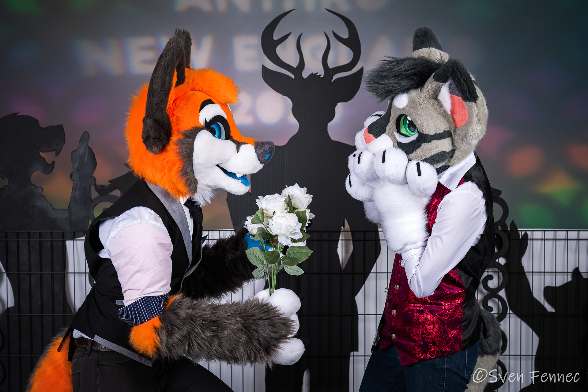 Sven Fennec Photography - 2018-2020 Studio Fursuit Portraits
