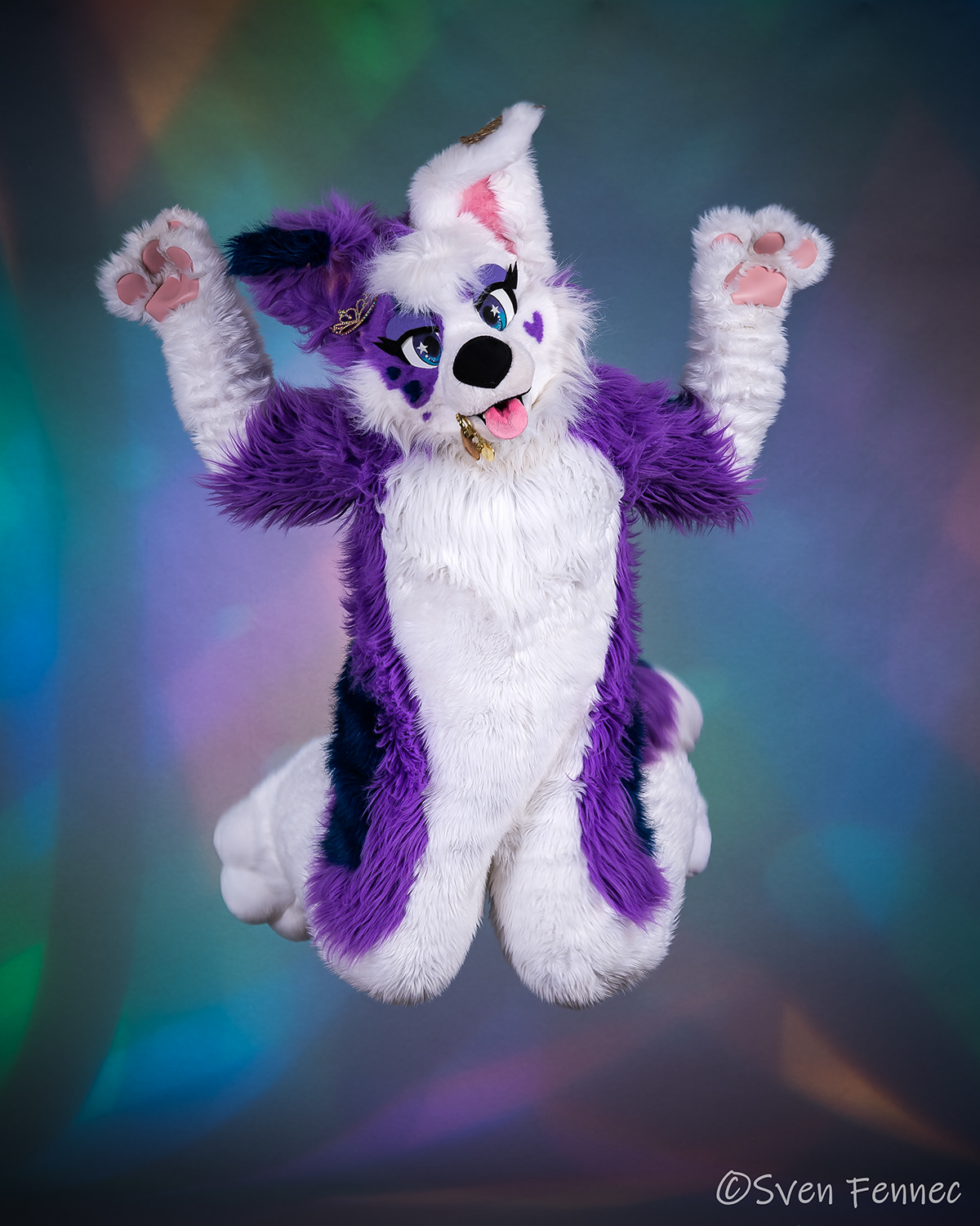 Sven Fennec Photography - 2018-2020 Studio Fursuit Portraits