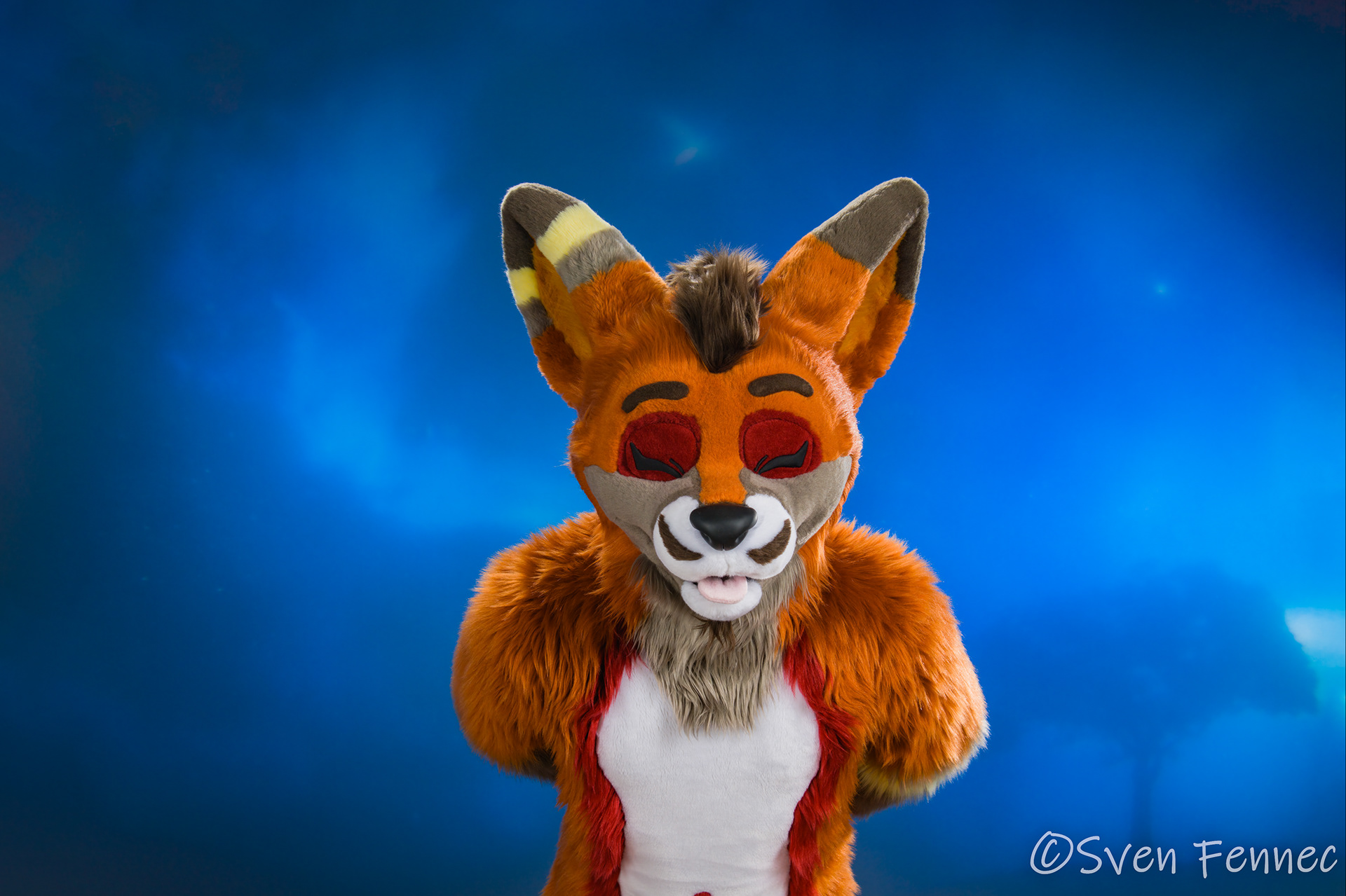 Sven Fennec Photography - Photos of Sven