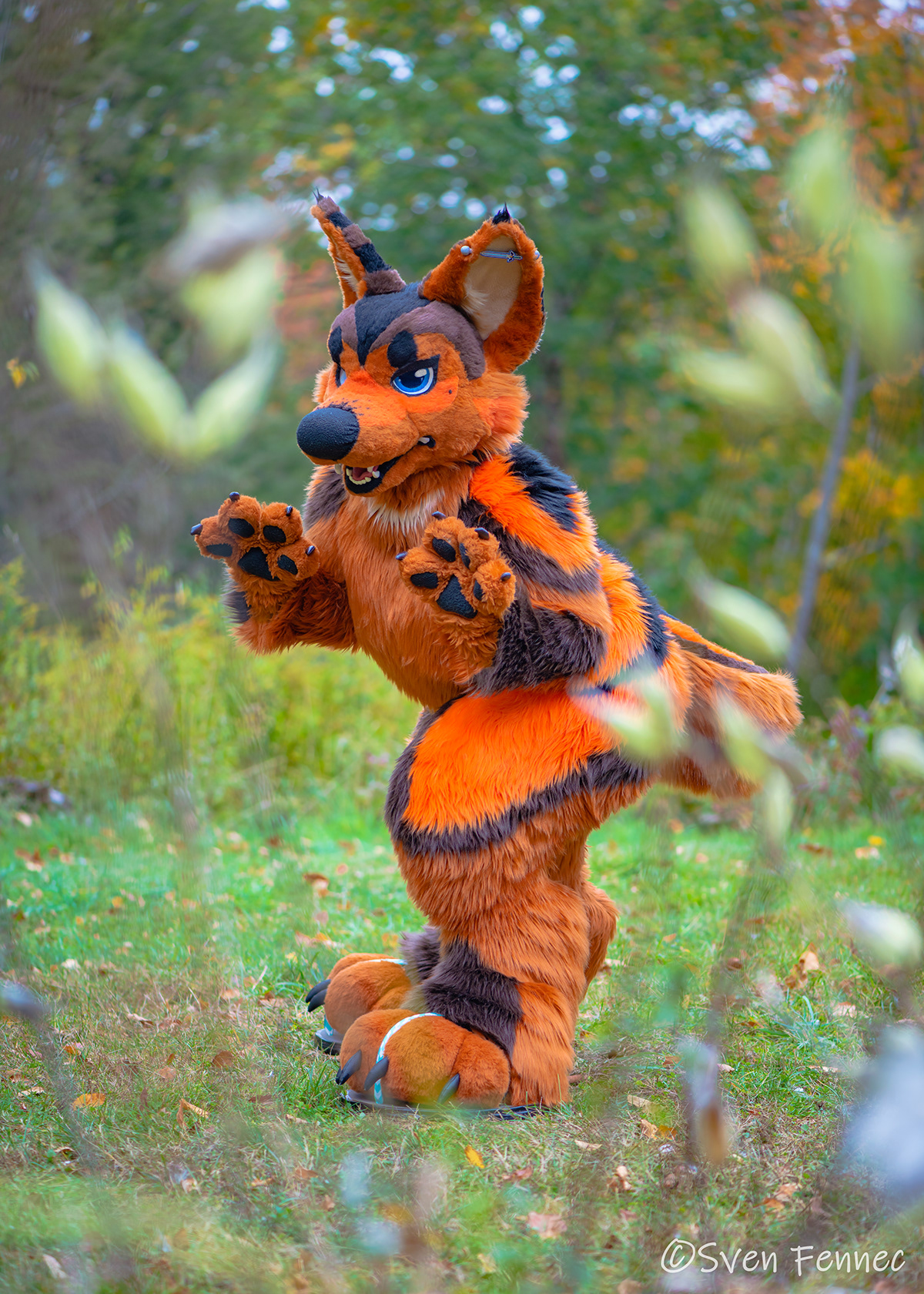 Sven Fennec Photography - Fursuit Portraits