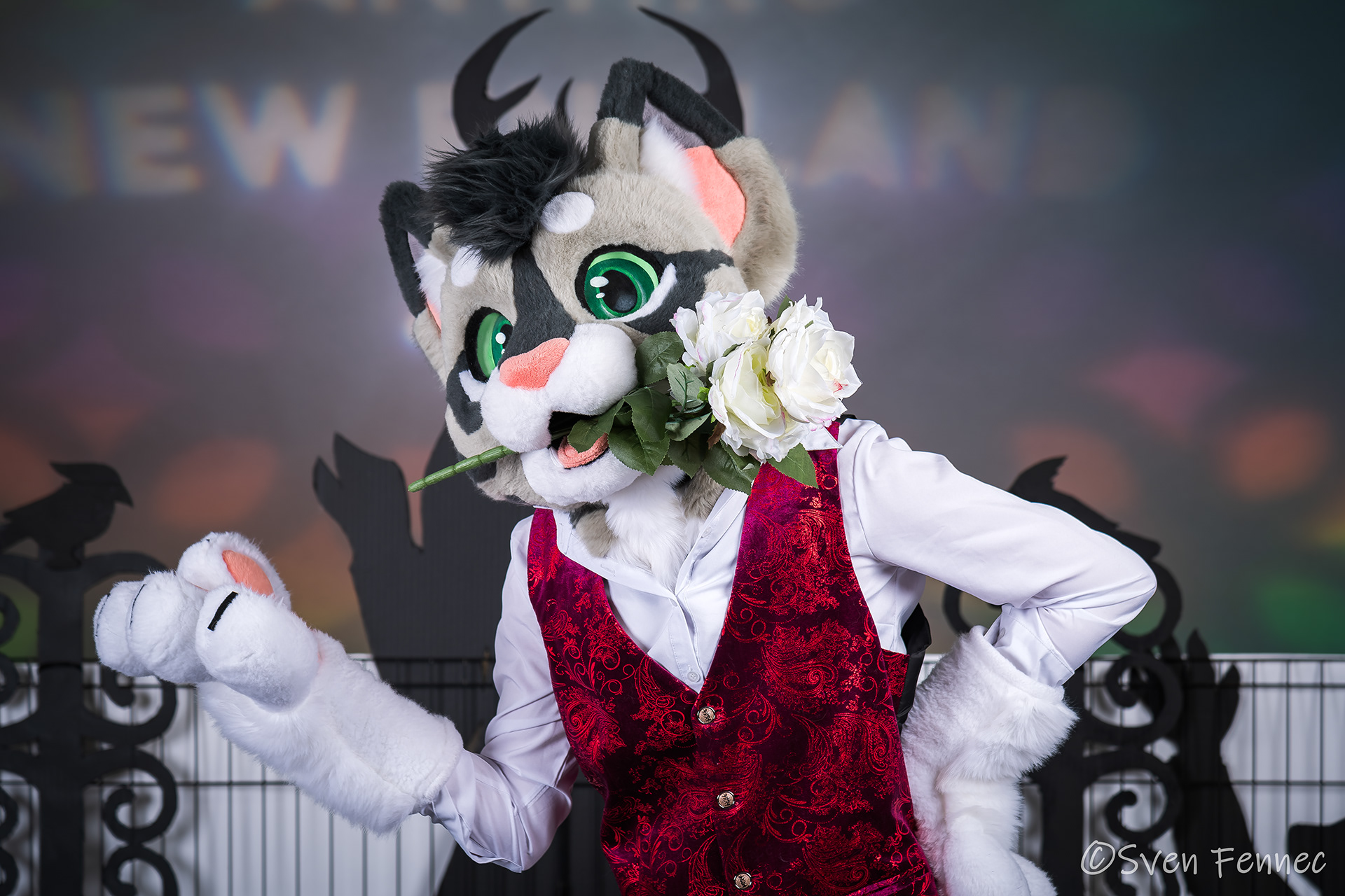 Sven Fennec Photography - 2018-2020 Studio Fursuit Portraits