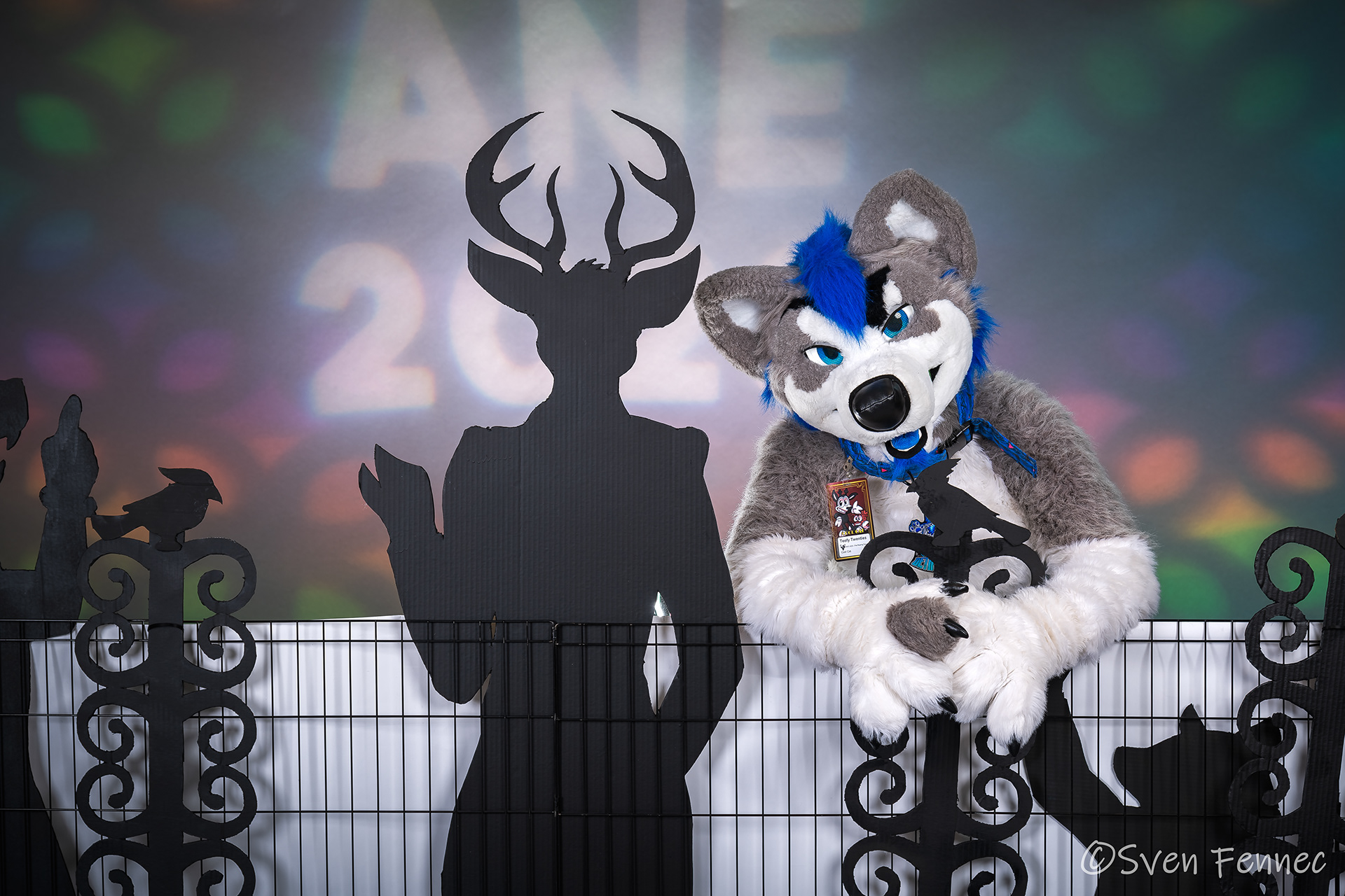 Sven Fennec Photography - 2018-2020 Studio Fursuit Portraits