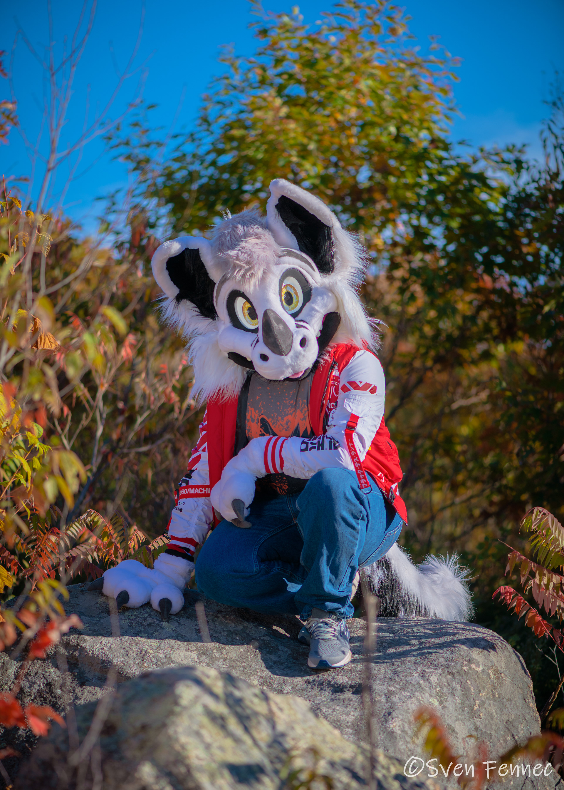 Sven Fennec Photography - Fursuit Portraits