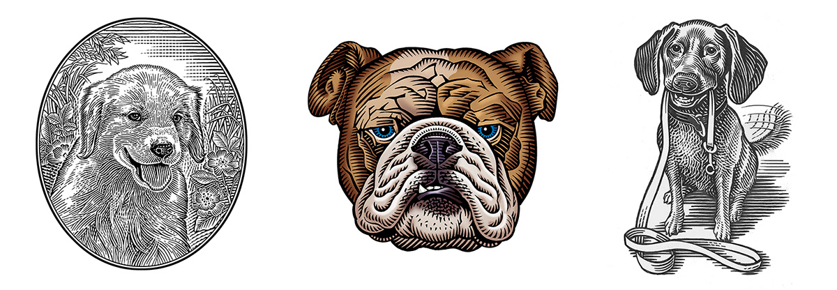 Roger Xavier - Animals