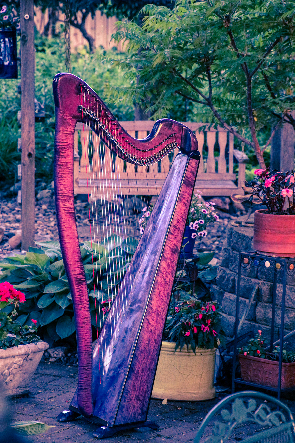 Musicmakers Harp Galleries - Galaxy Purple