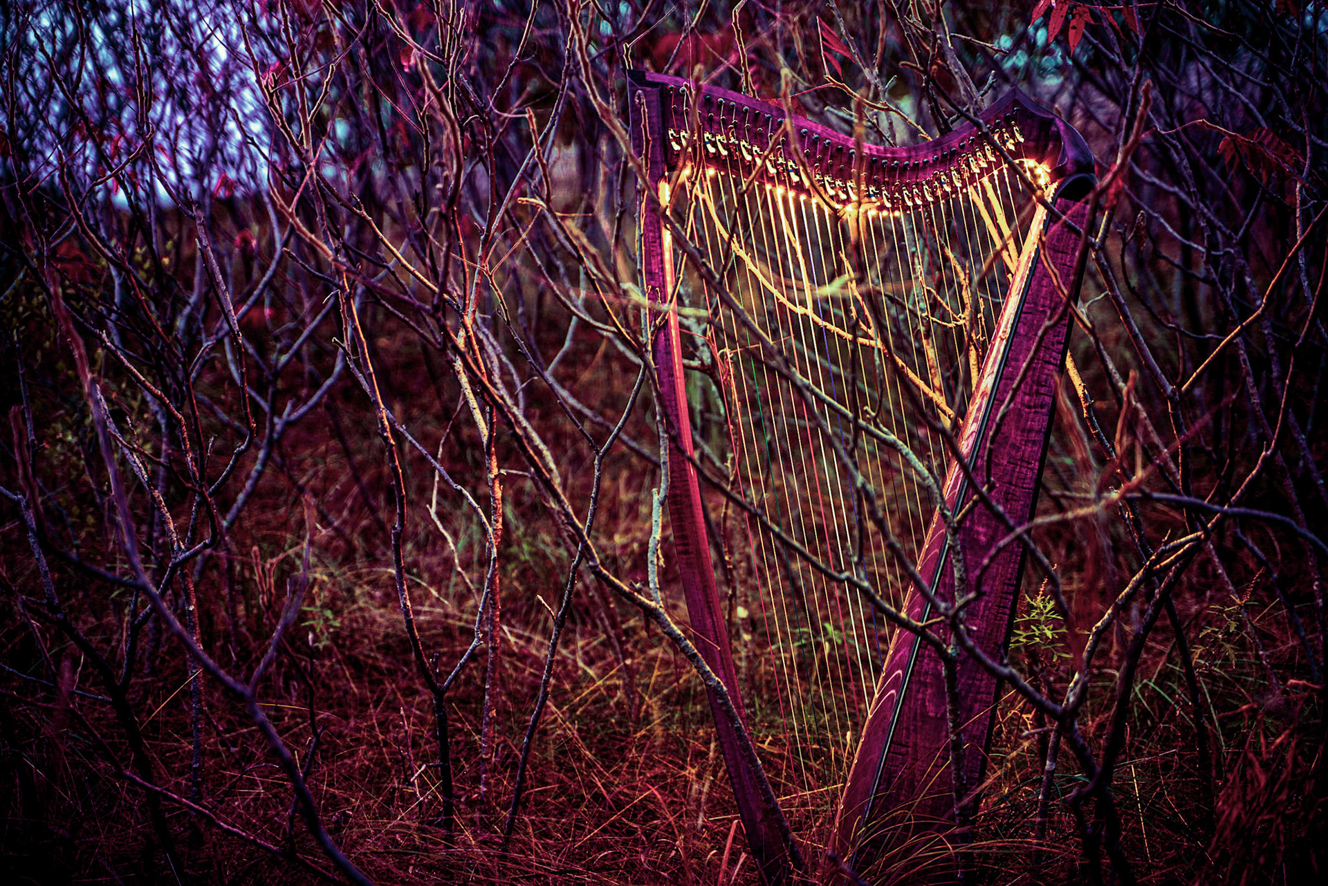 Musicmakers Harp Galleries - Galaxy Purple