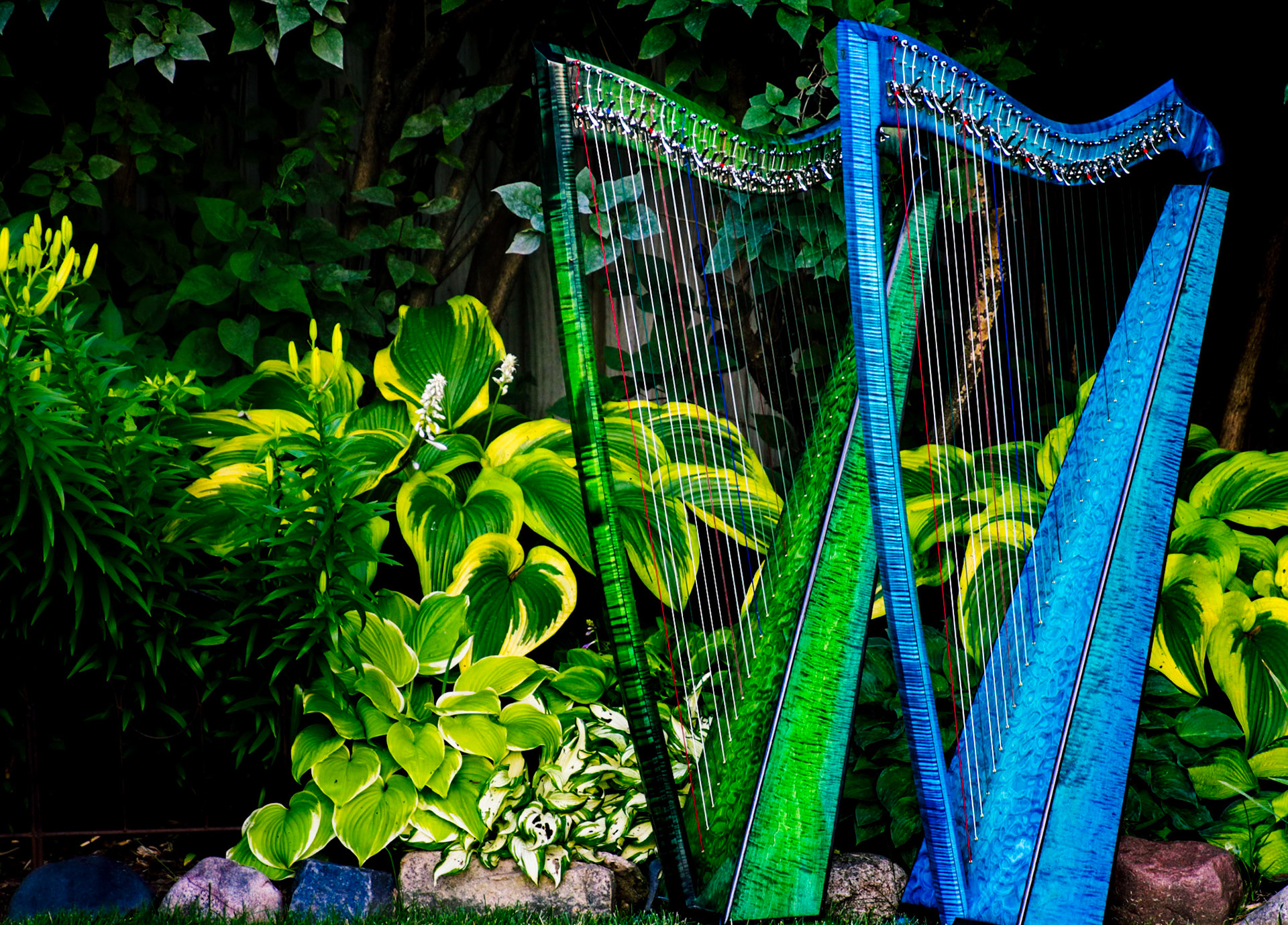 Musicmakers Harp Galleries - Vivid Color Group